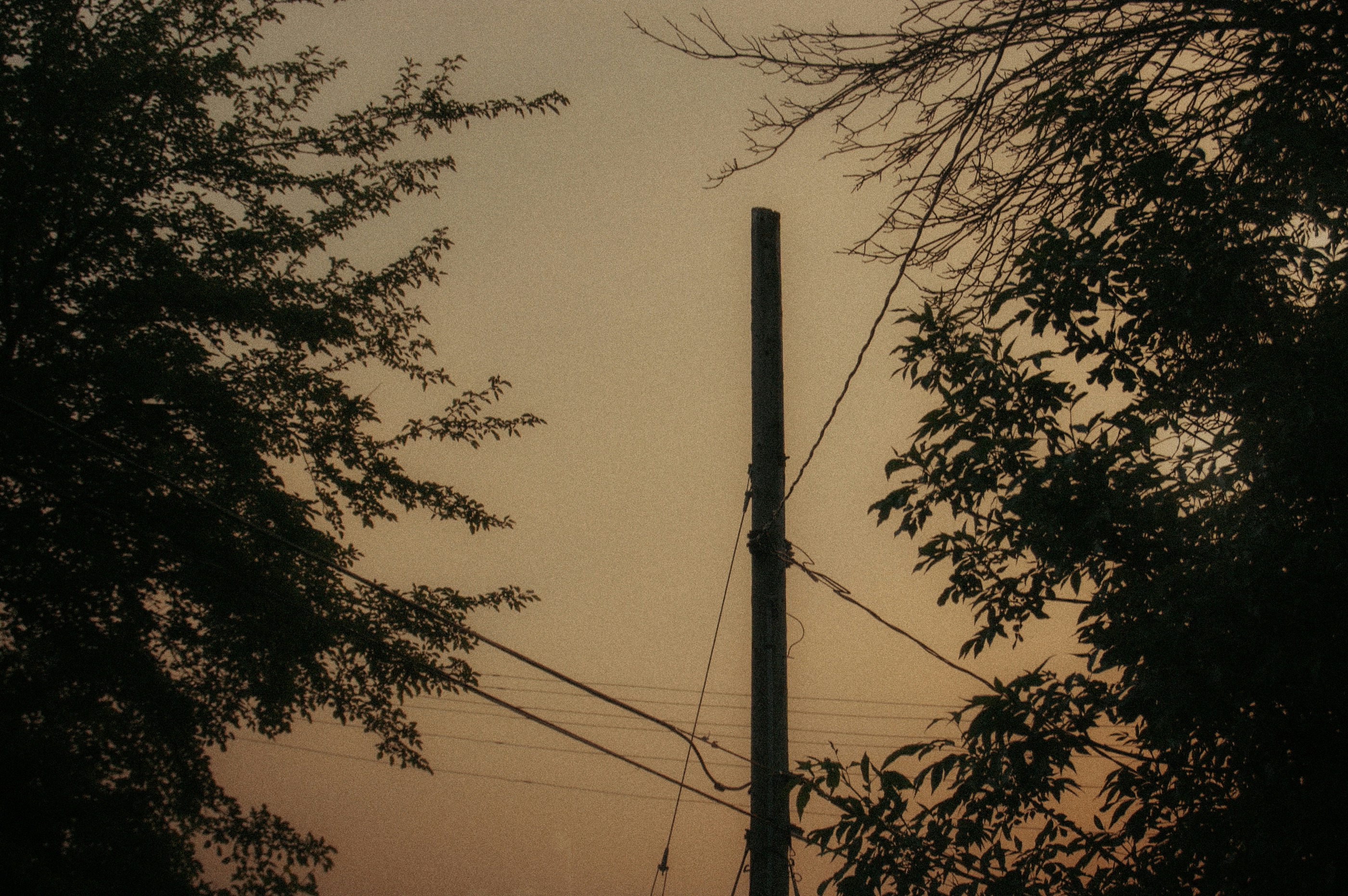 Whispers of Dusk: A Power Line Silhouette