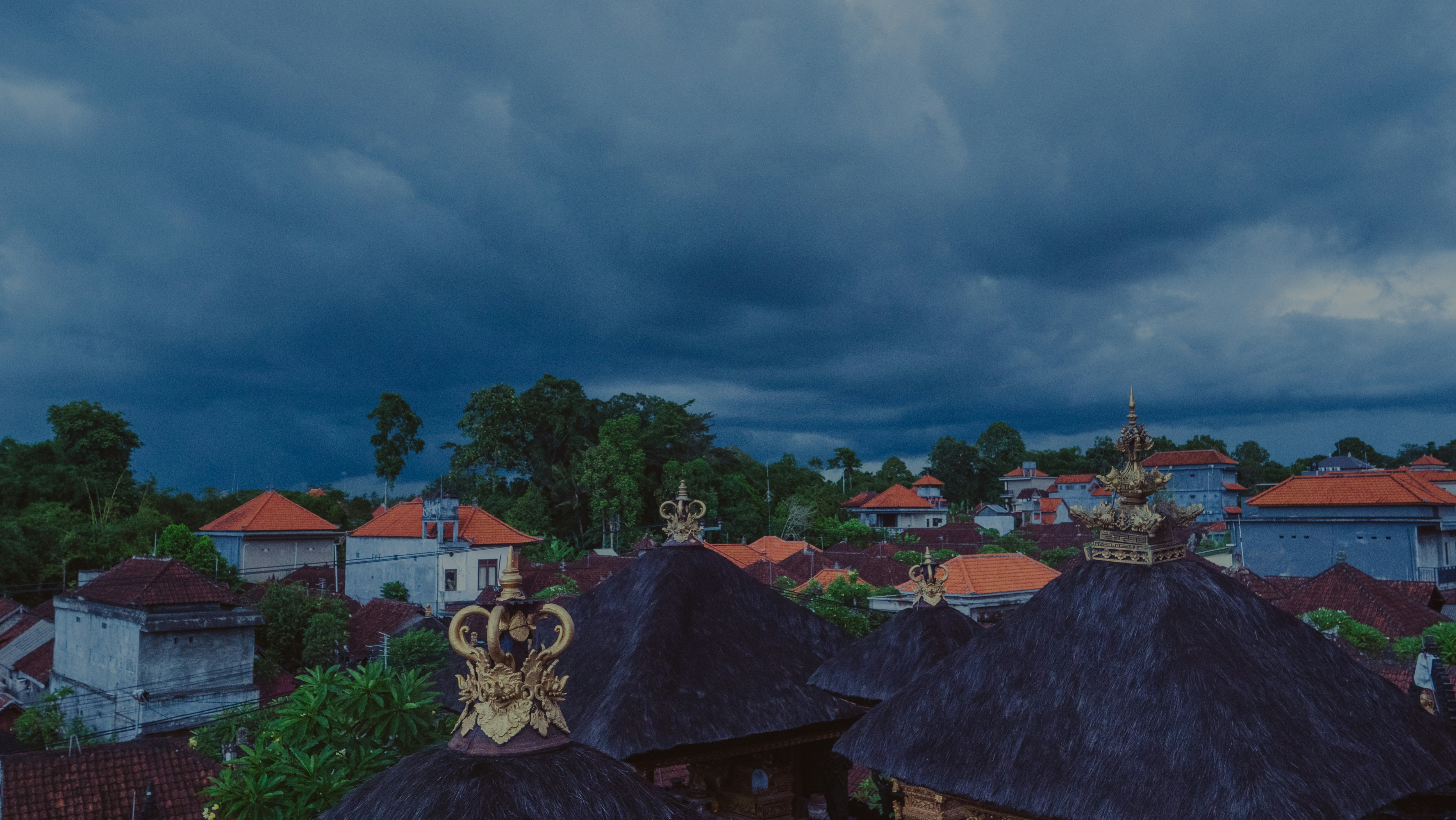 Photo by Hanna Lazar with Panasonic Lumix GH5