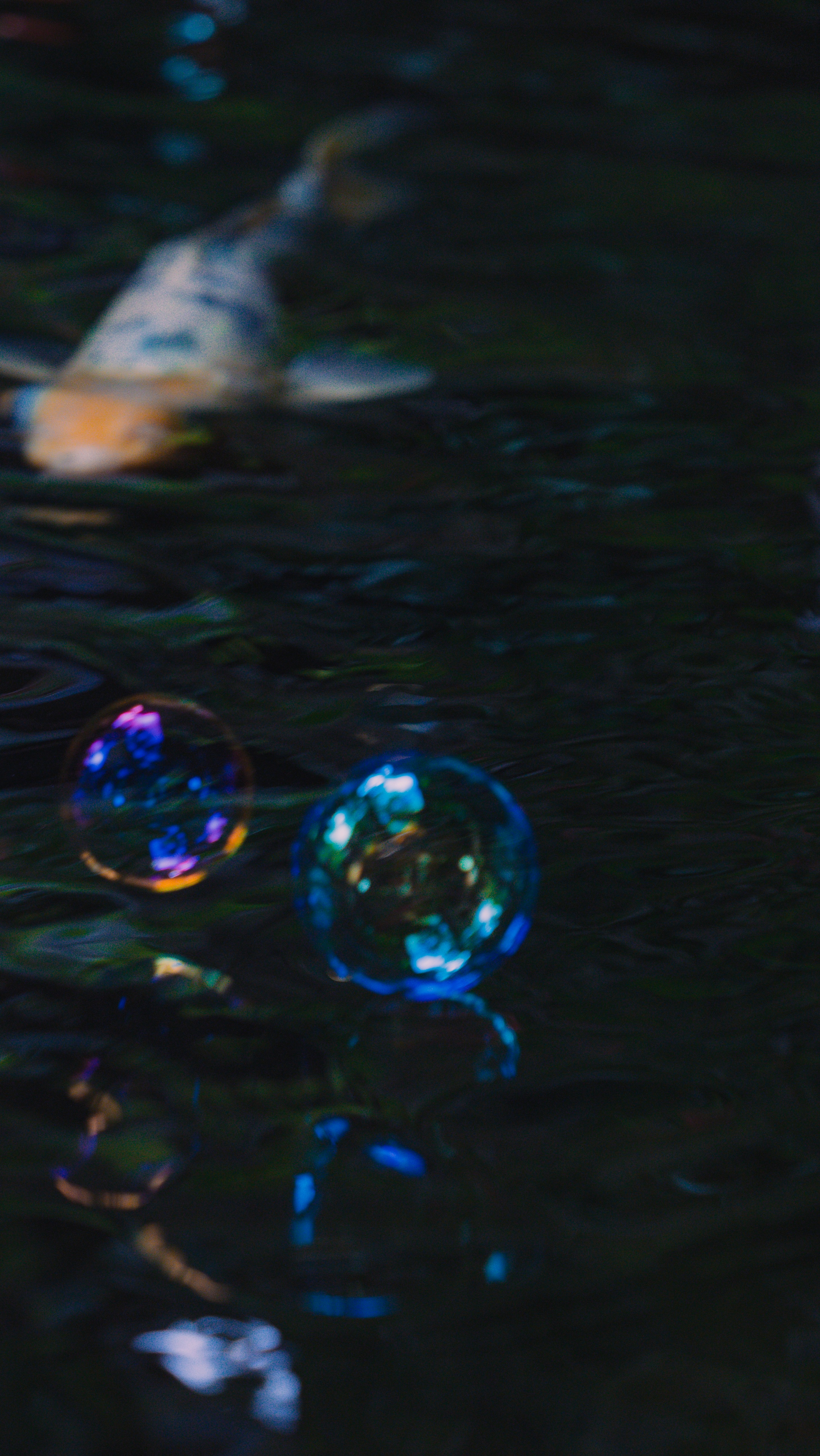 Reflections of Serenity: Bubbles and Koi Dance