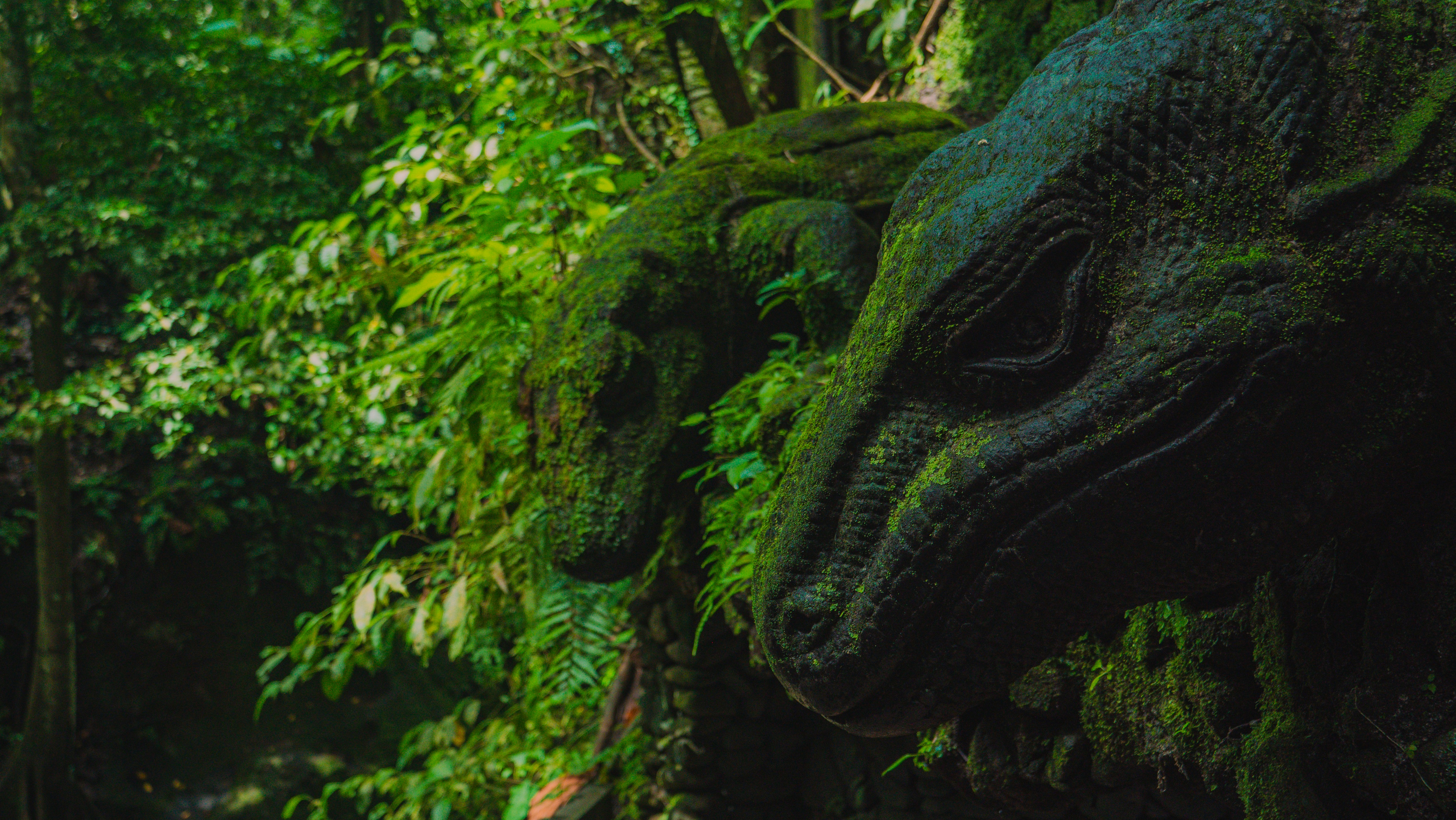 Verde Relic: Mossy Dragonhead in the Forest Courtyard