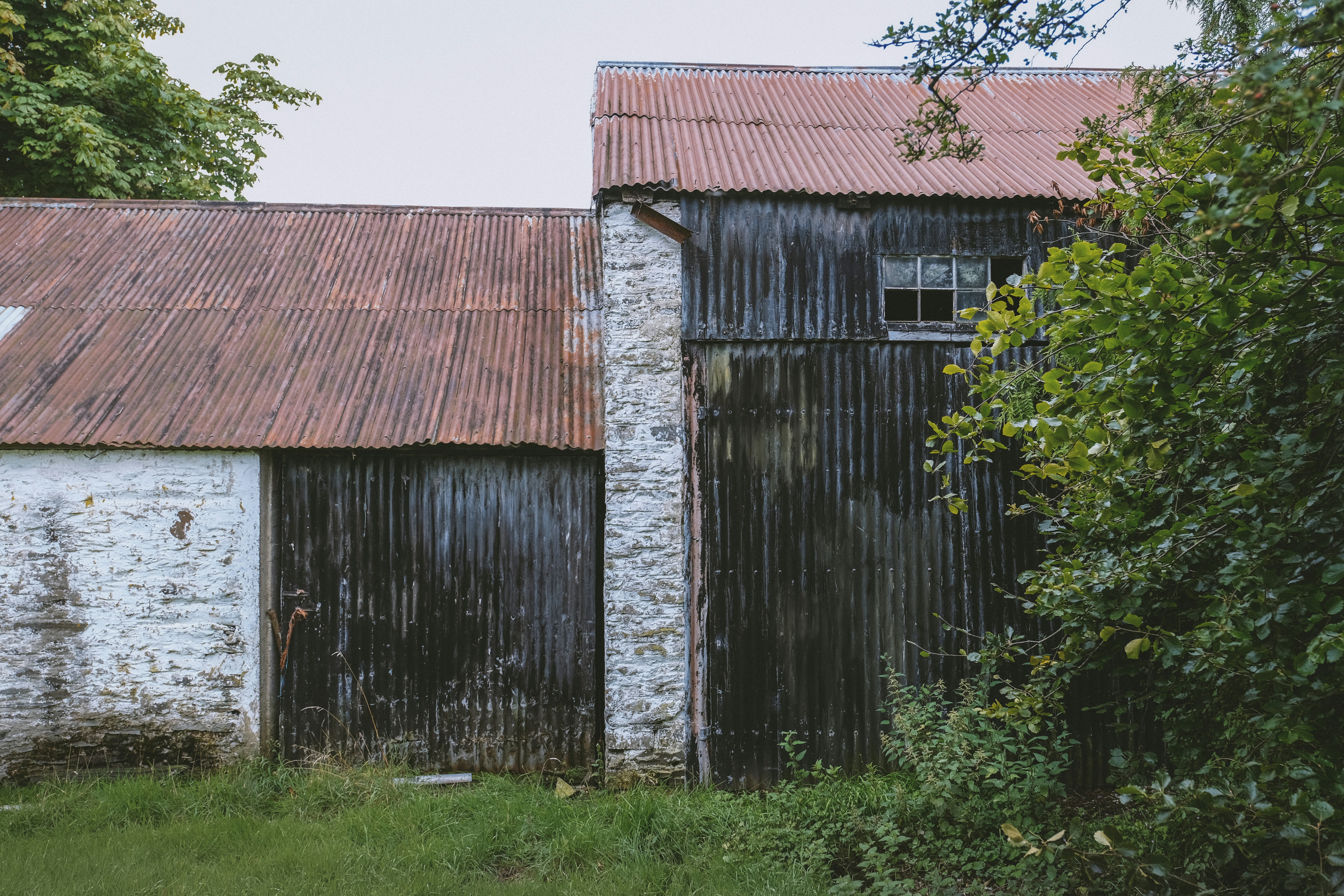 Stoned and corrugated tin farm buildings in Mid Wales. | An old barn stands next to foliage.