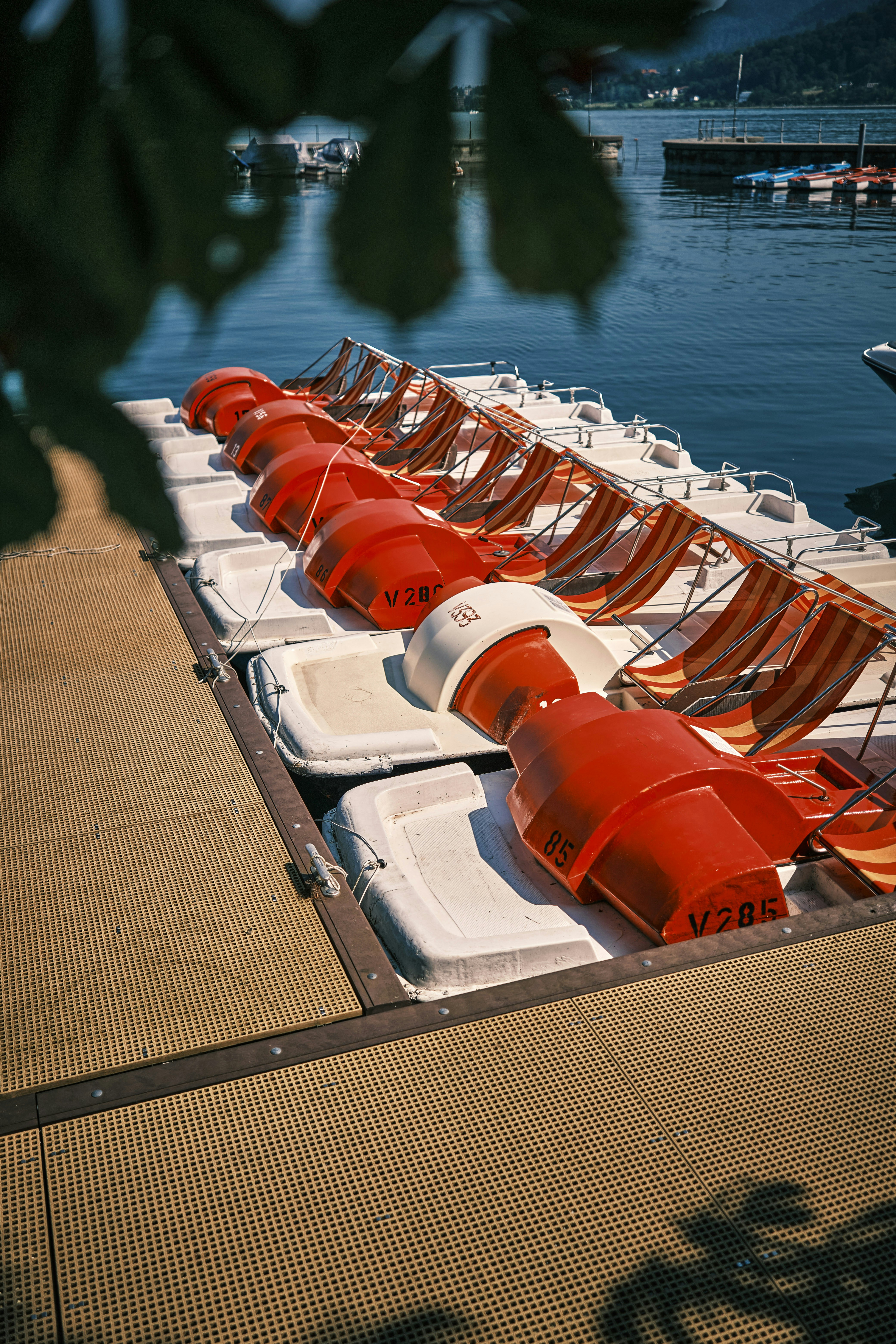 Diagonal Parade of Orange Lifebuoys at a Quiet Marina