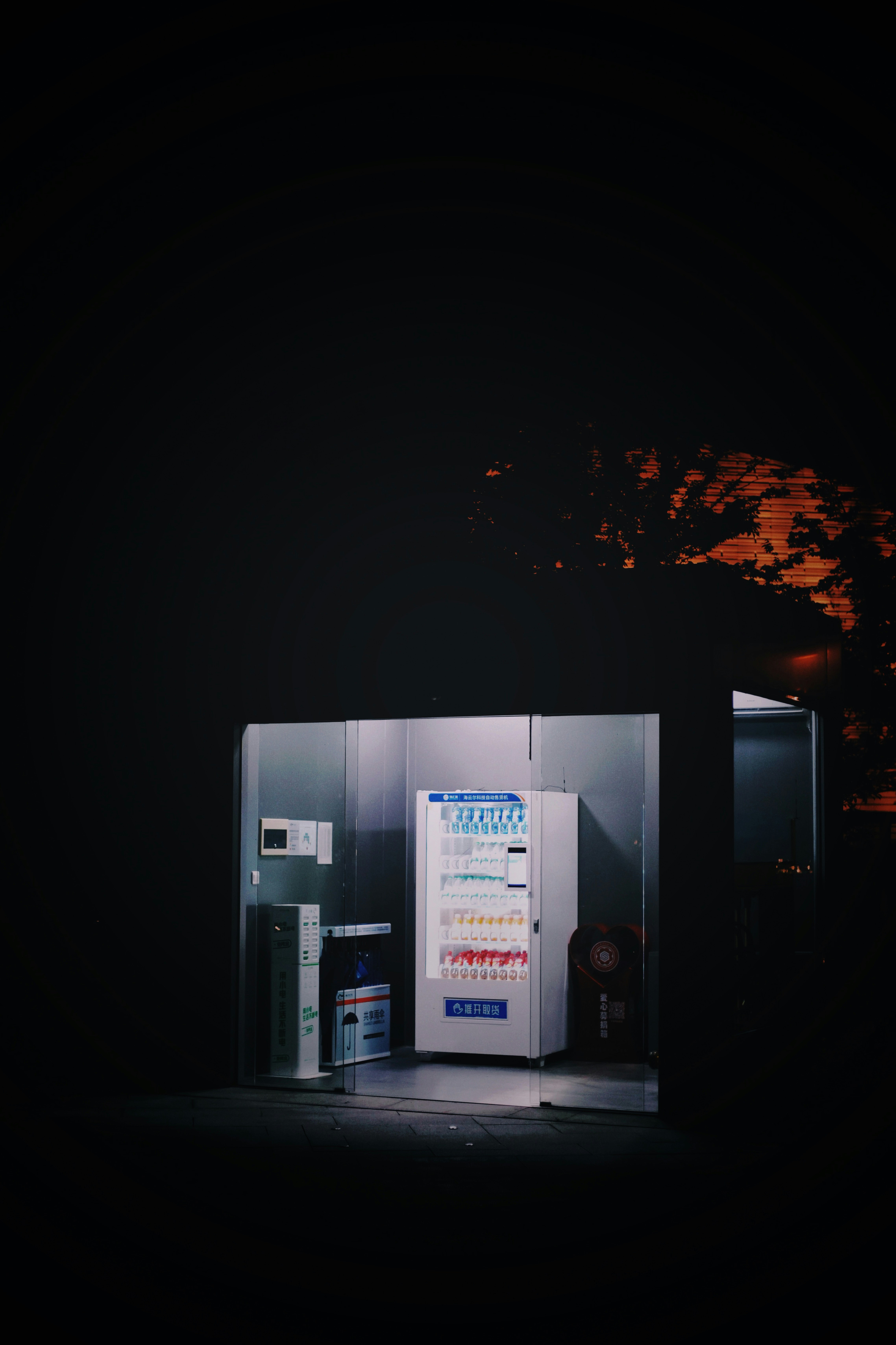 Photo by Vida Huang with Sony Alpha 7 IV