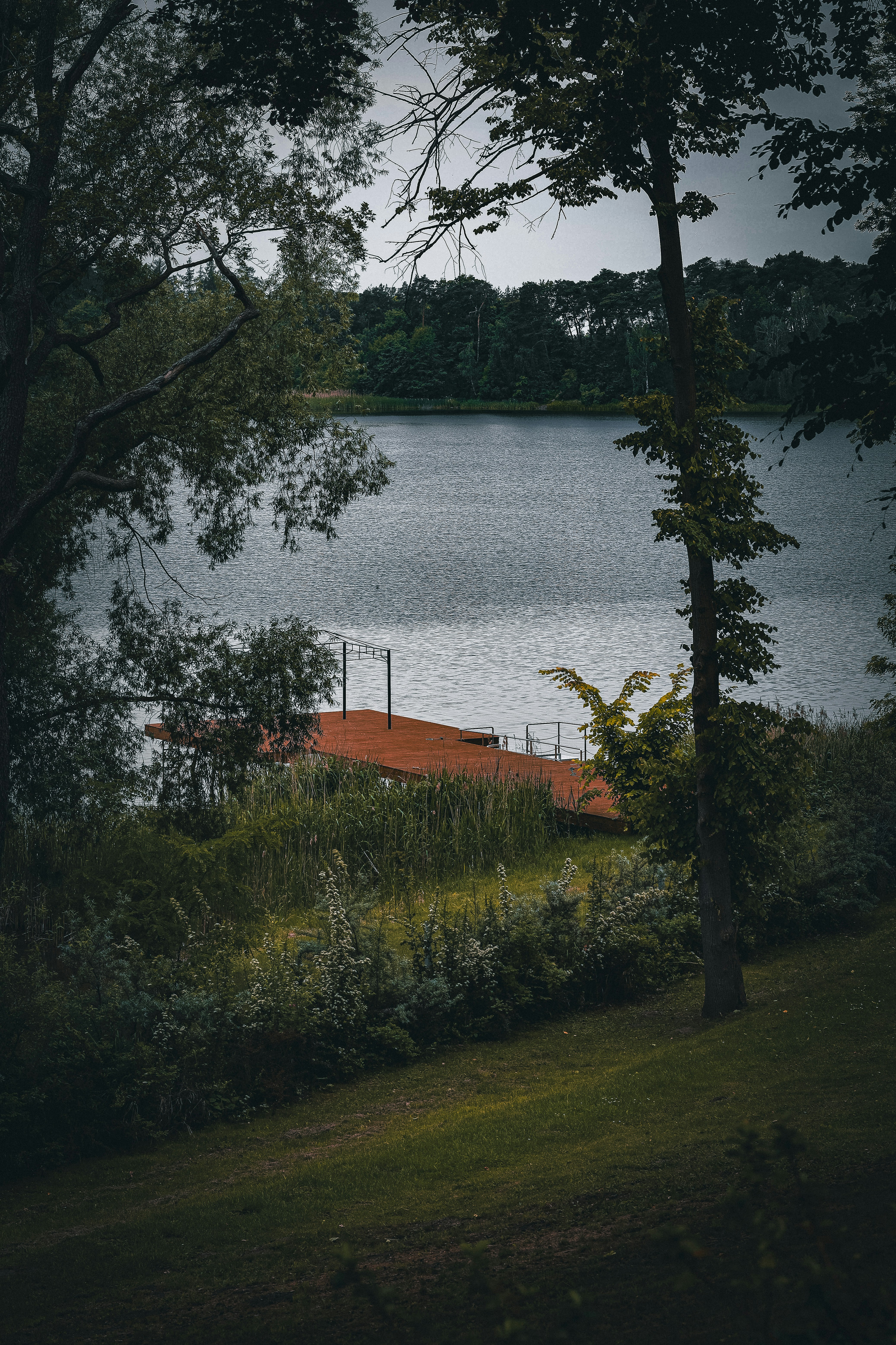 A serene lakeside view featuring a wooden dock surrounded by lush greenery and calm waters, inviting reflection and peace.