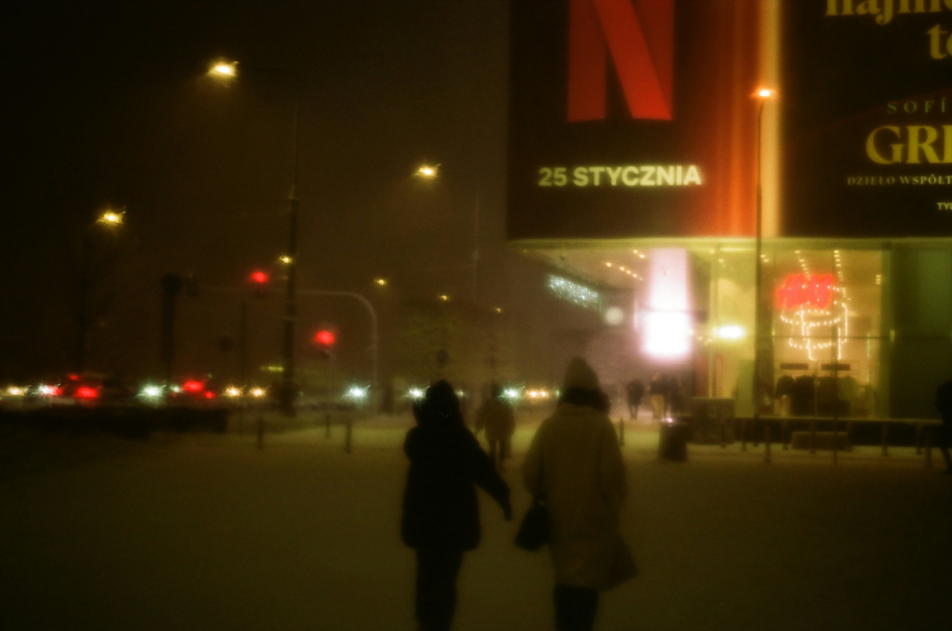 Winter Stroll Under Neon Lights