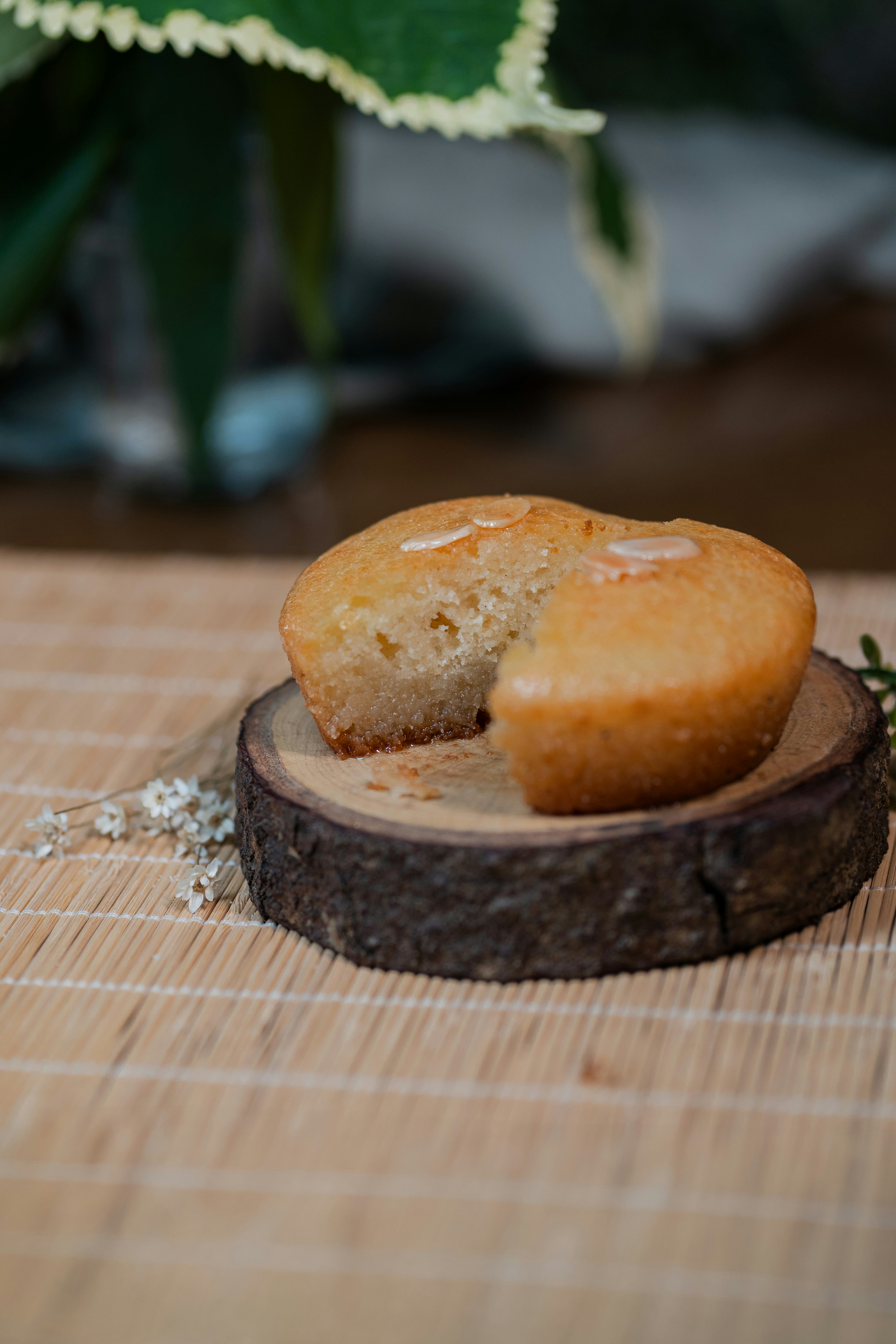 Whispers of Sweetness: A Slice of Delight