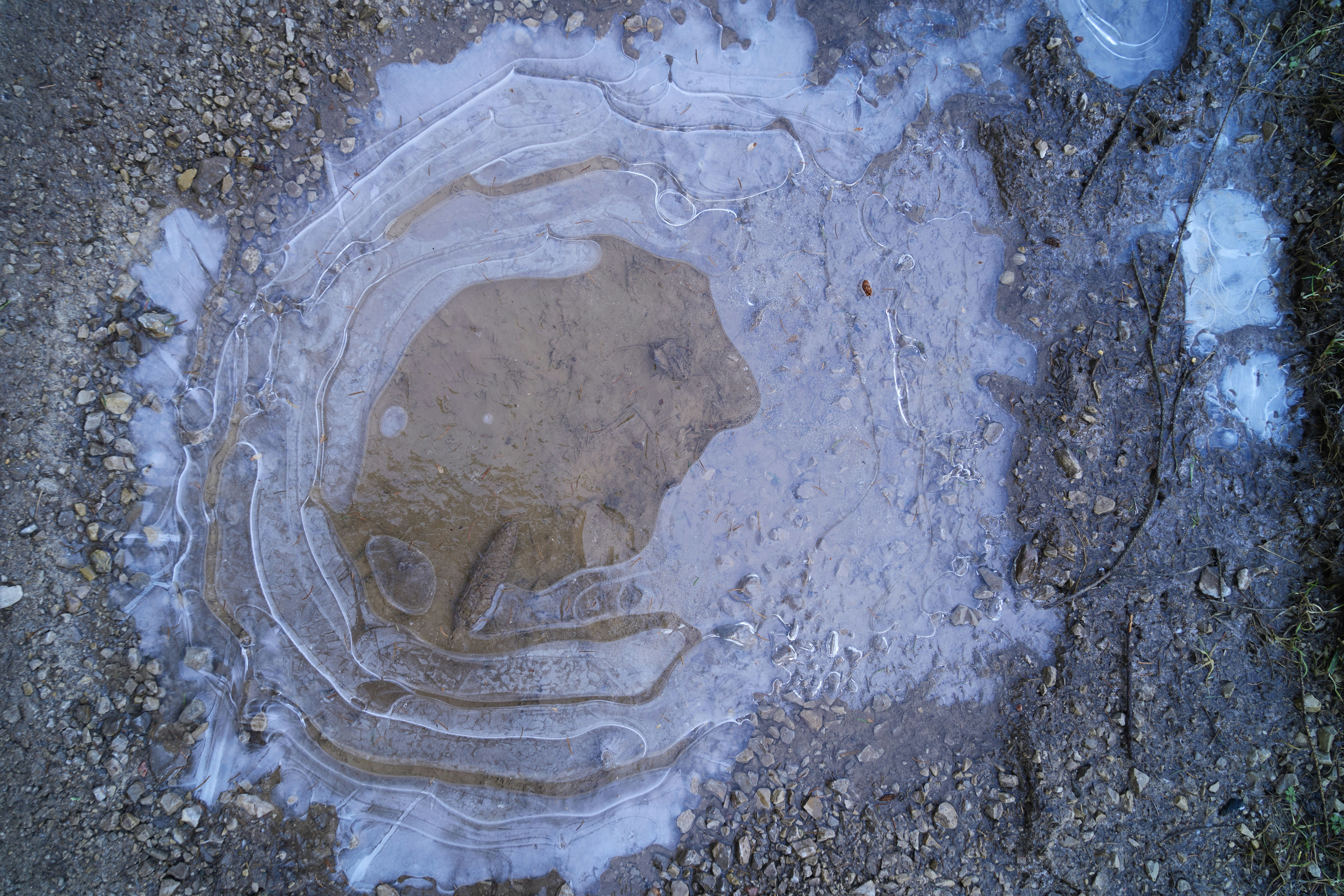 Nature's Frozen Canvas: A Reflection in Time