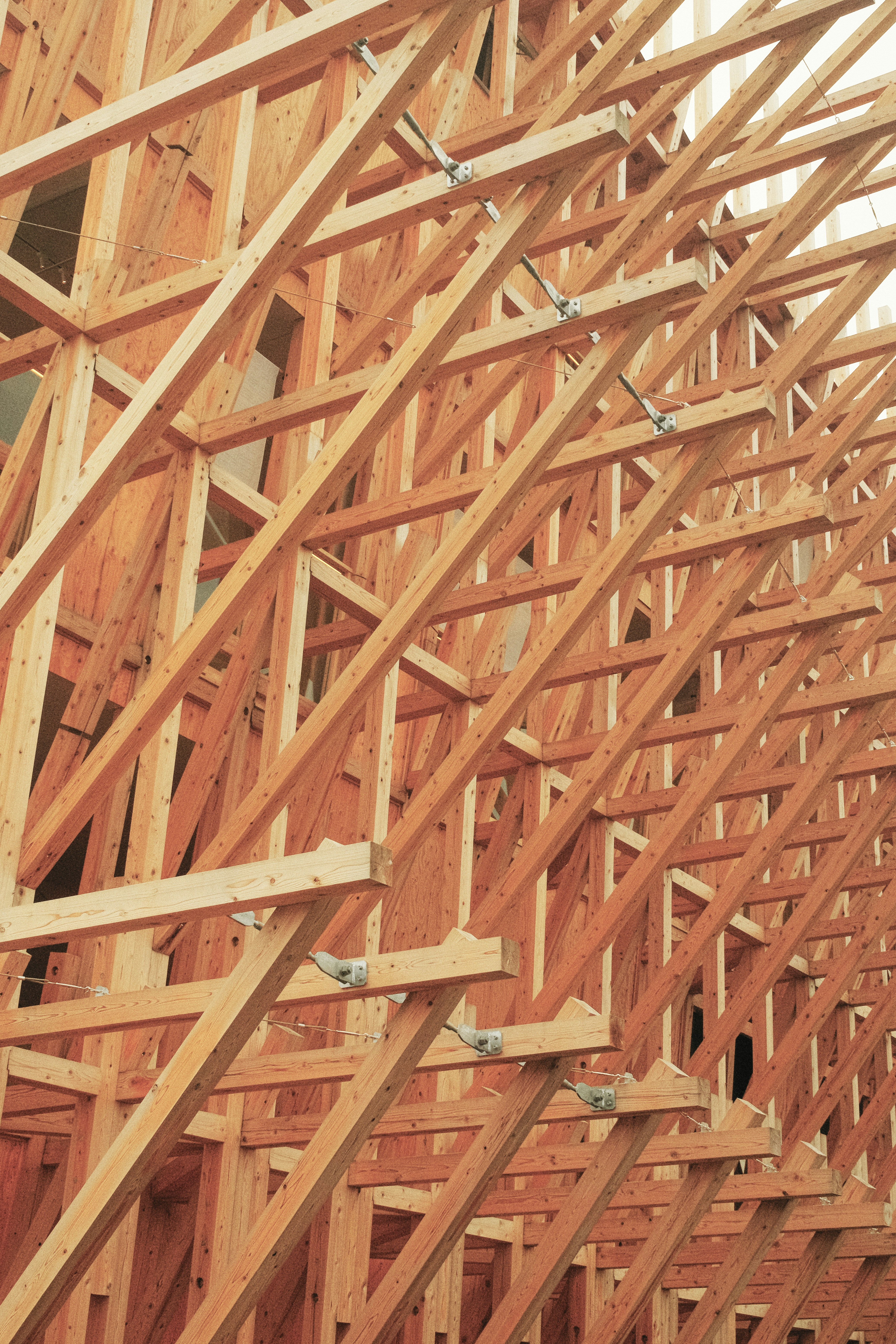 Photo by ZENG YILI with Fujifilm X100V