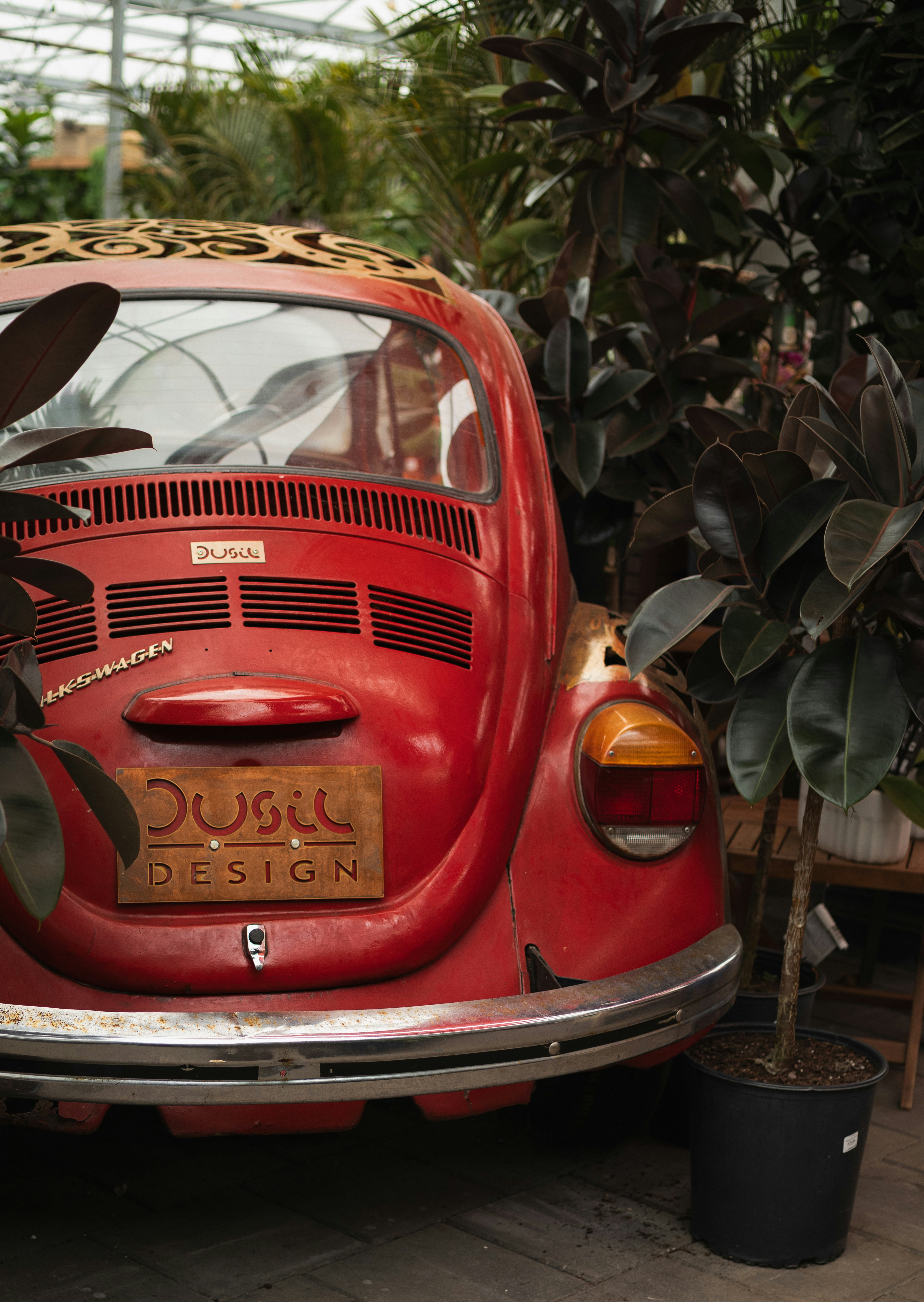 Greenhouse Groove: A Vintage Red Beetle Nestled Among Tropical Foliage