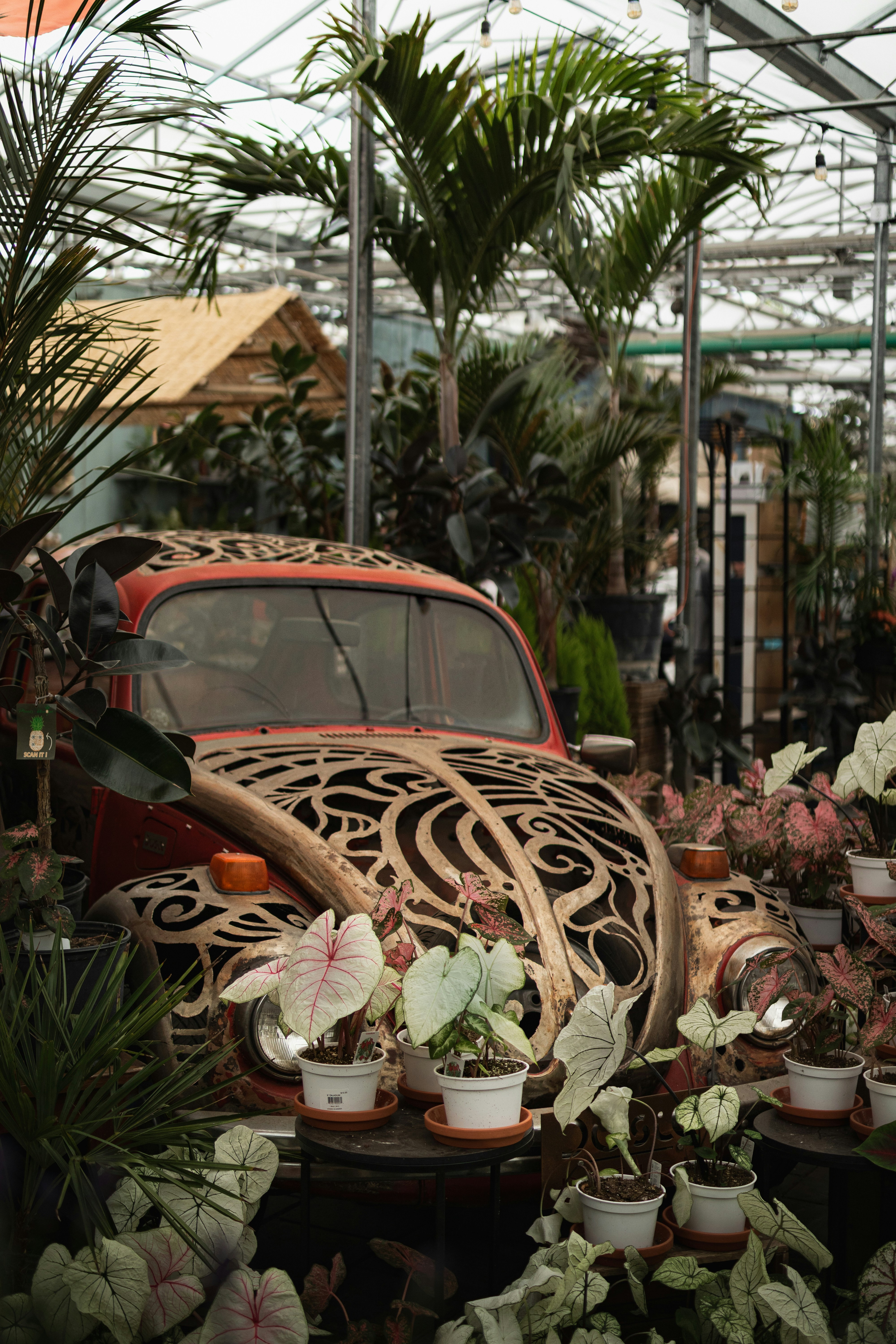 Photo by Oleg Bersenev with Canon EOS M50