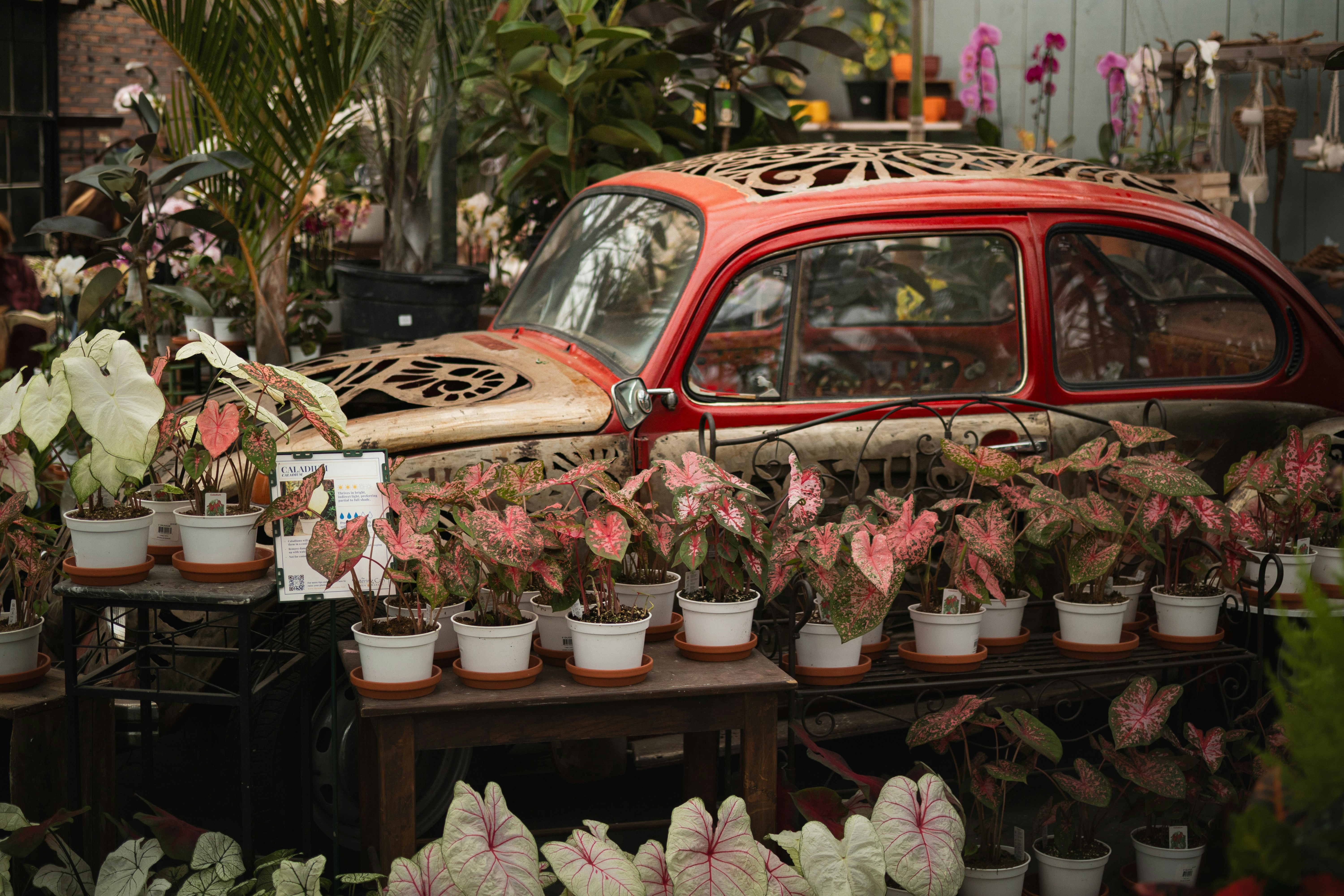 A vintage car adorned with intricate cutouts is surrounded by vibrant potted plants, creating a charming juxtaposition of nature and nostalgia.