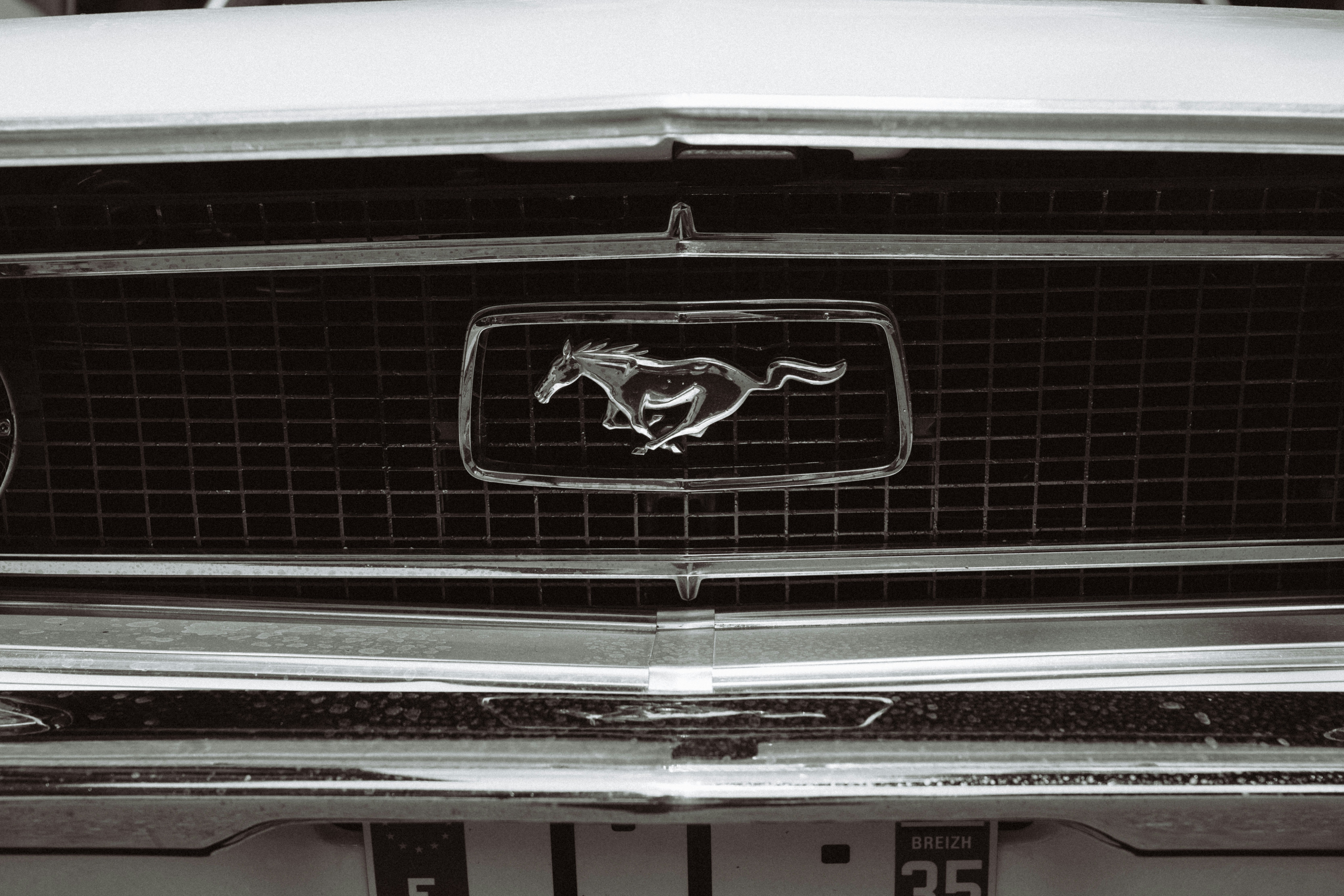 Monochrome Close-Up: The Ford Mustang Emblem Anchored in Chrome on the Grille