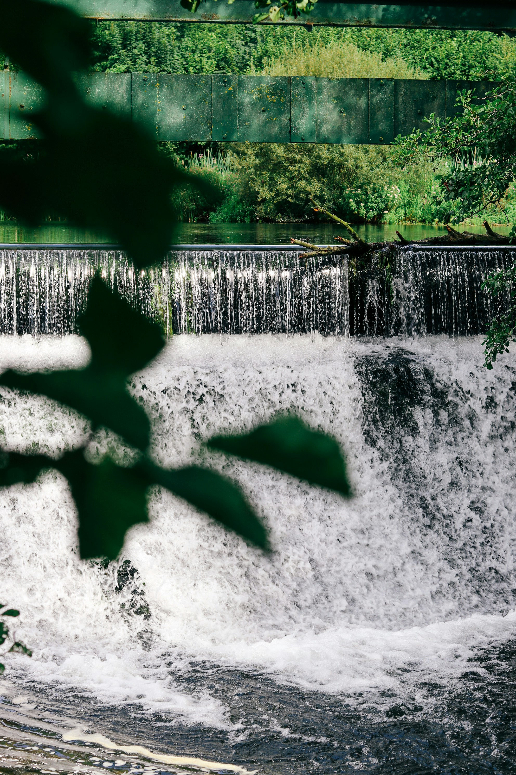 Photo by Ged Mullen-Buick with Canon EOS 80D