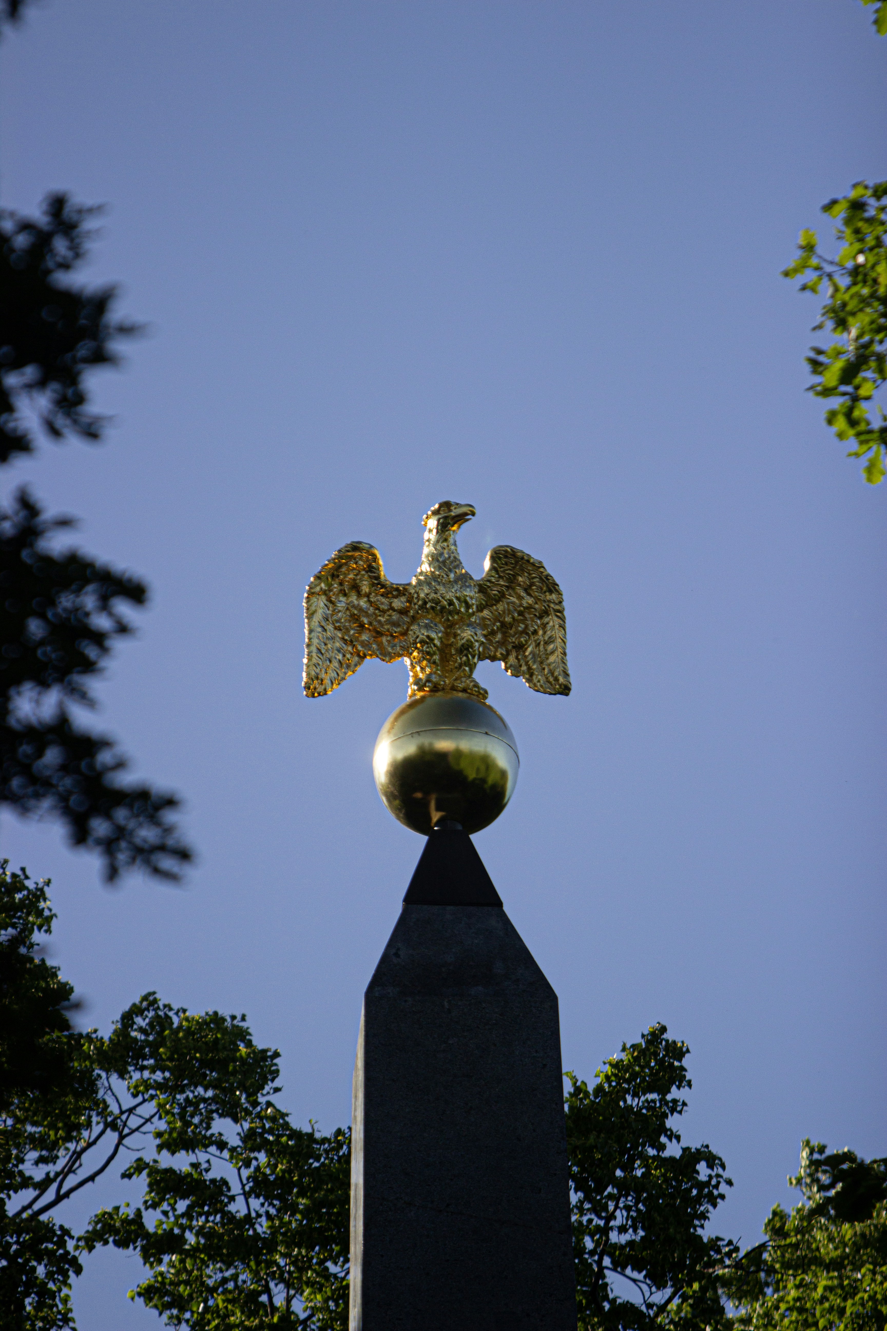 Golden Eagle atop a Monument: A Symbol of Resilience