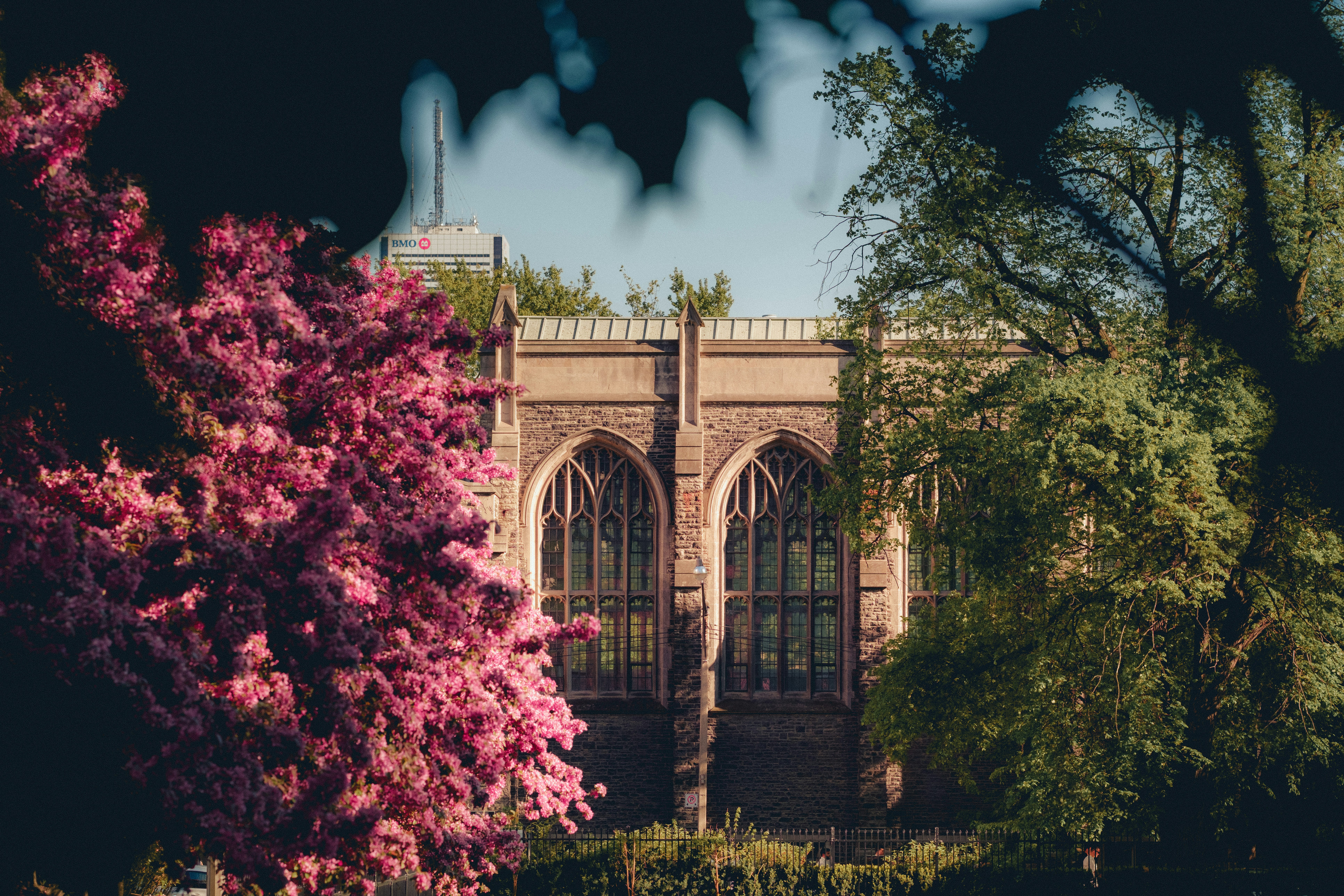Harmony of Nature and Architecture