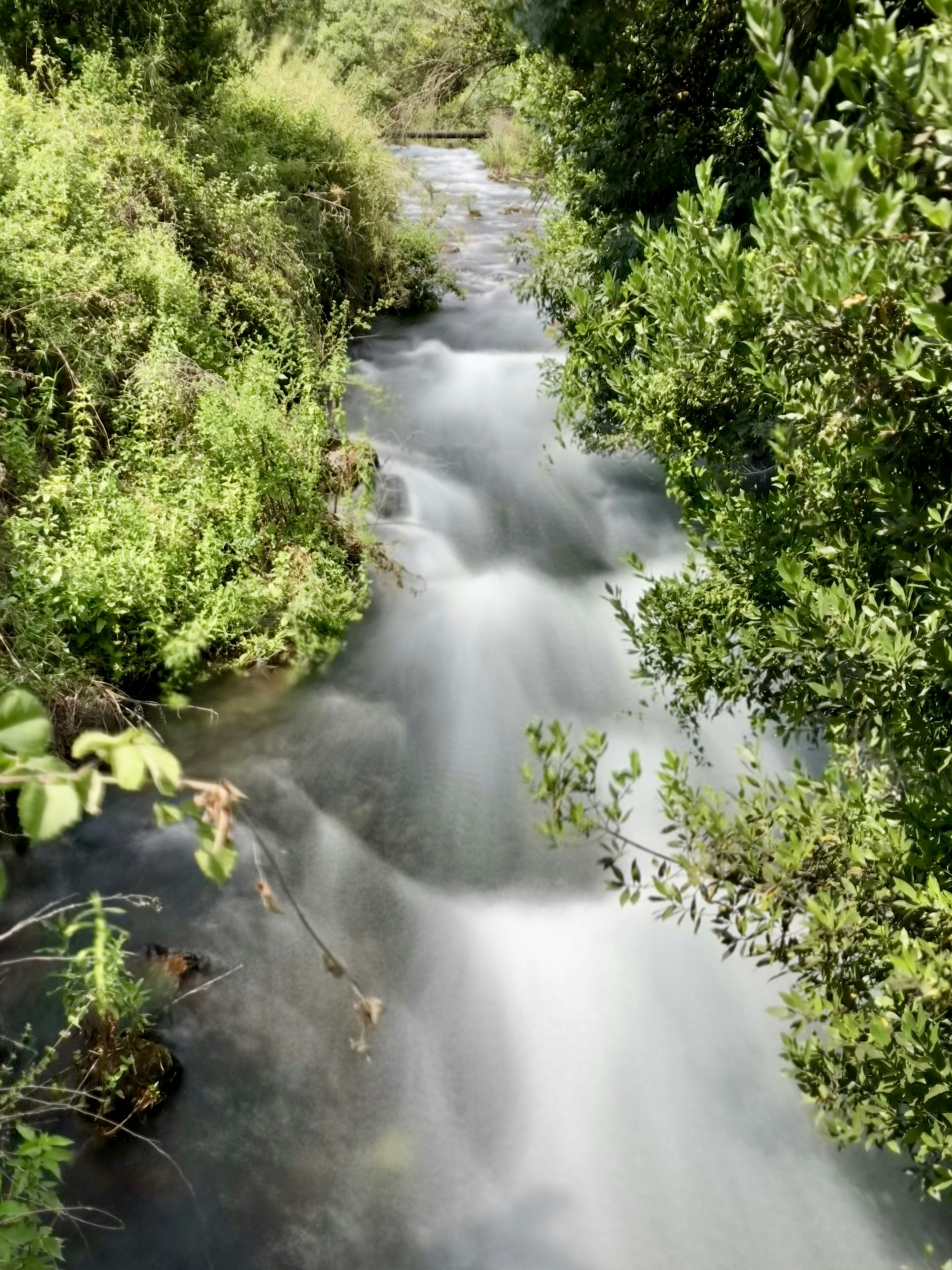 A gentle cascade flows through lush greenery, captured with a silky motion blur effect in the Galilee region. | A flowing stream runs through lush greenery.