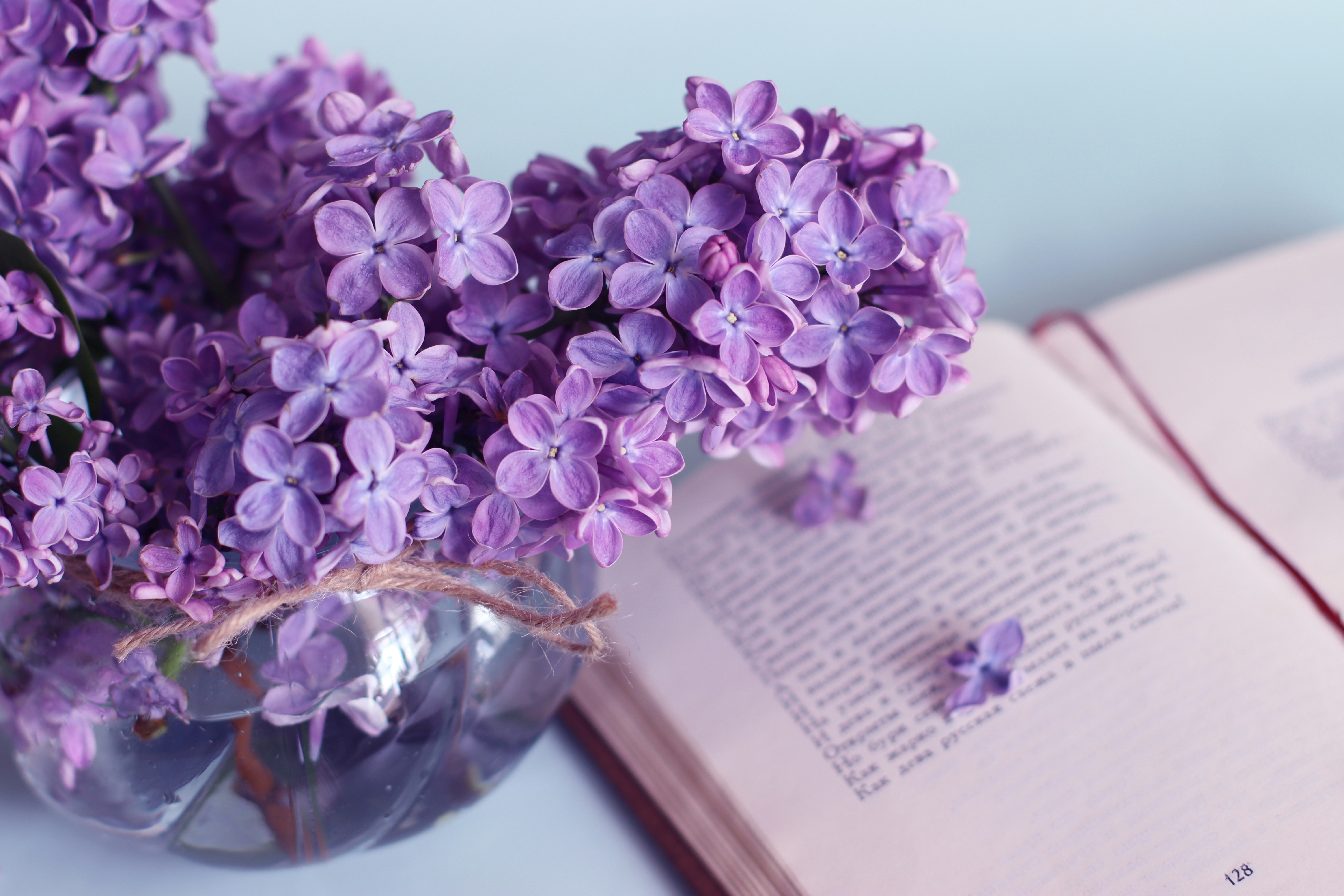 Whispers of Spring: A Floral Narrative