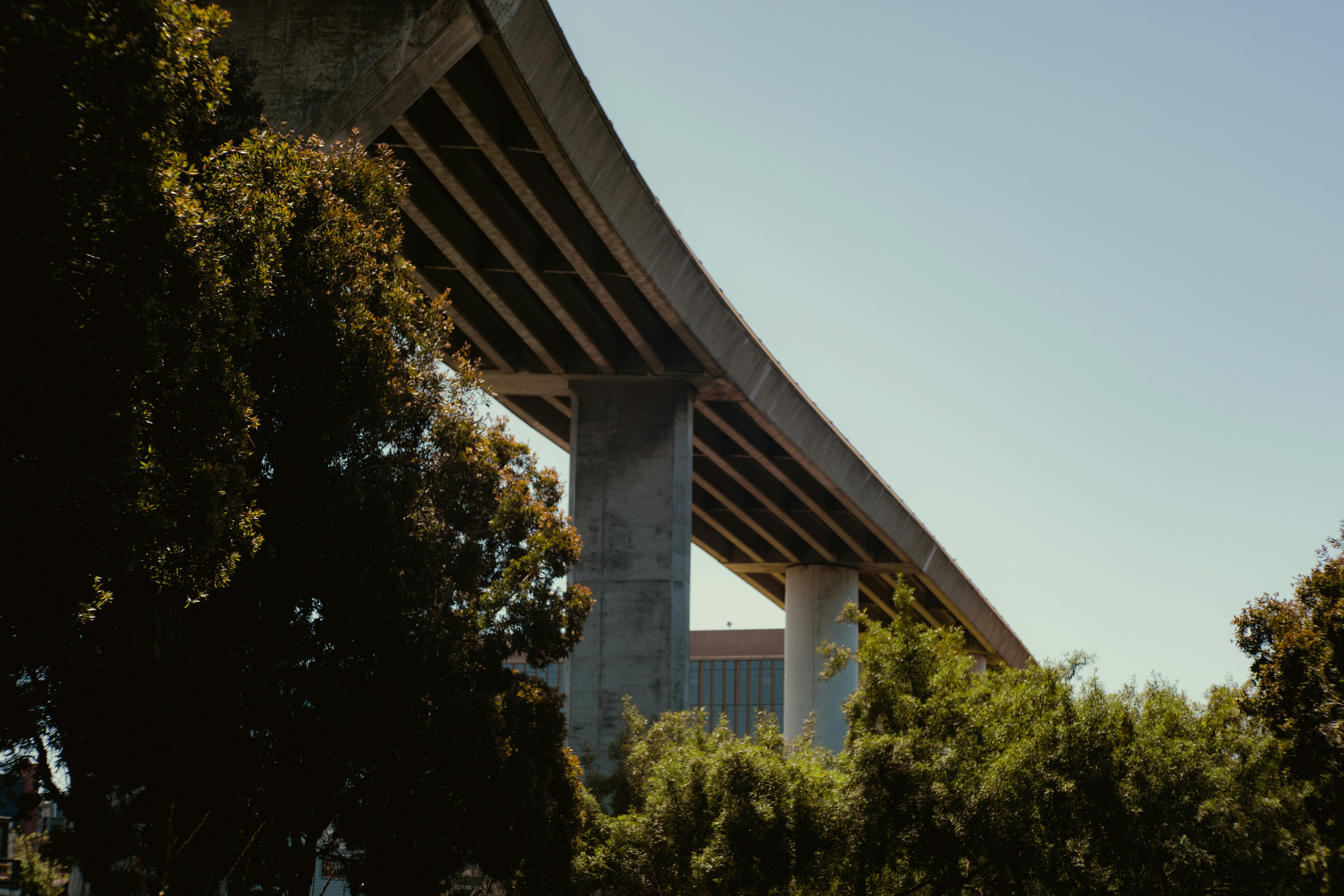 A modern overpass gracefully arches above lush greenery, showcasing the contrast between urban infrastructure and natural elements.