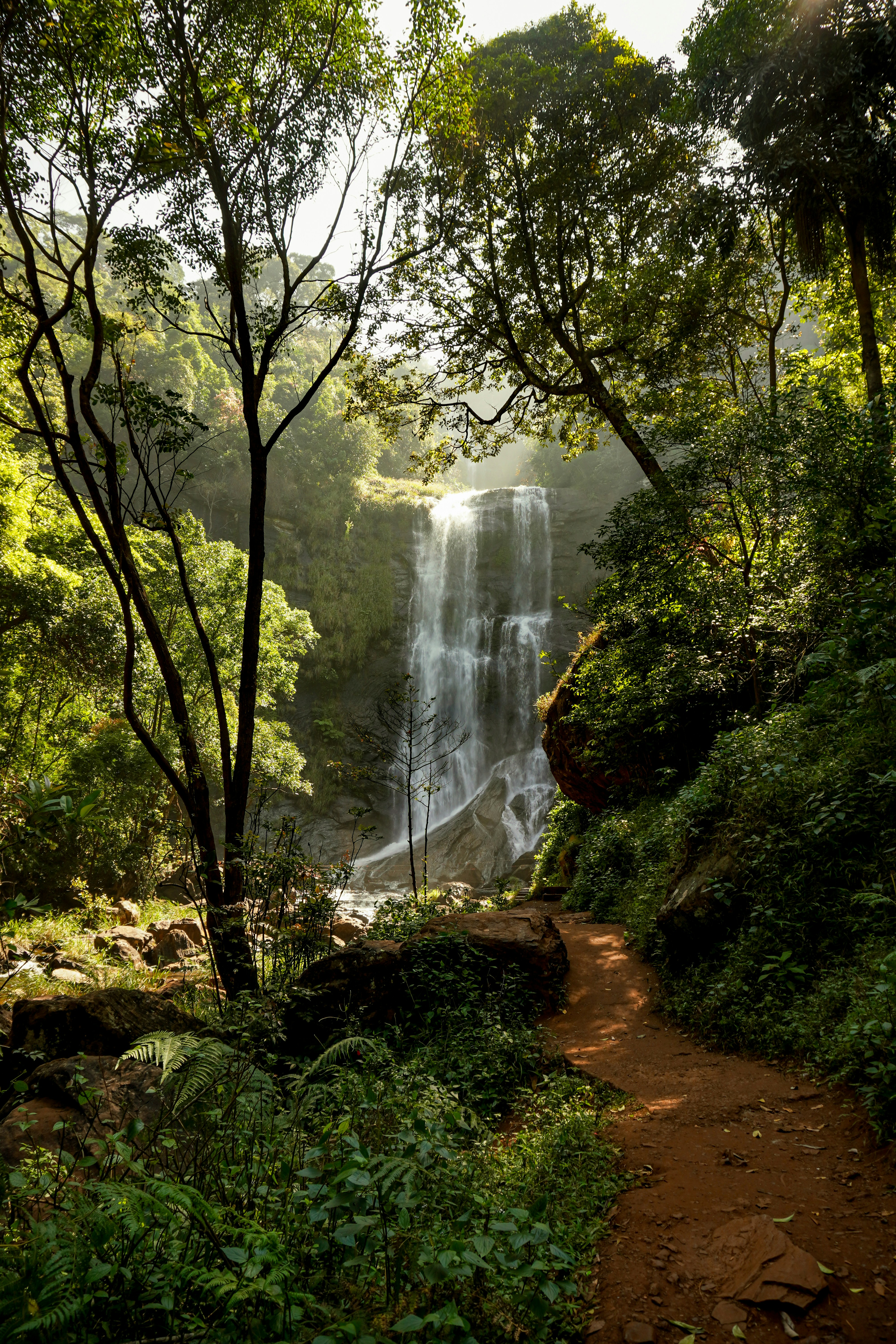 A waterfall cascades through lush greenery and trees.
