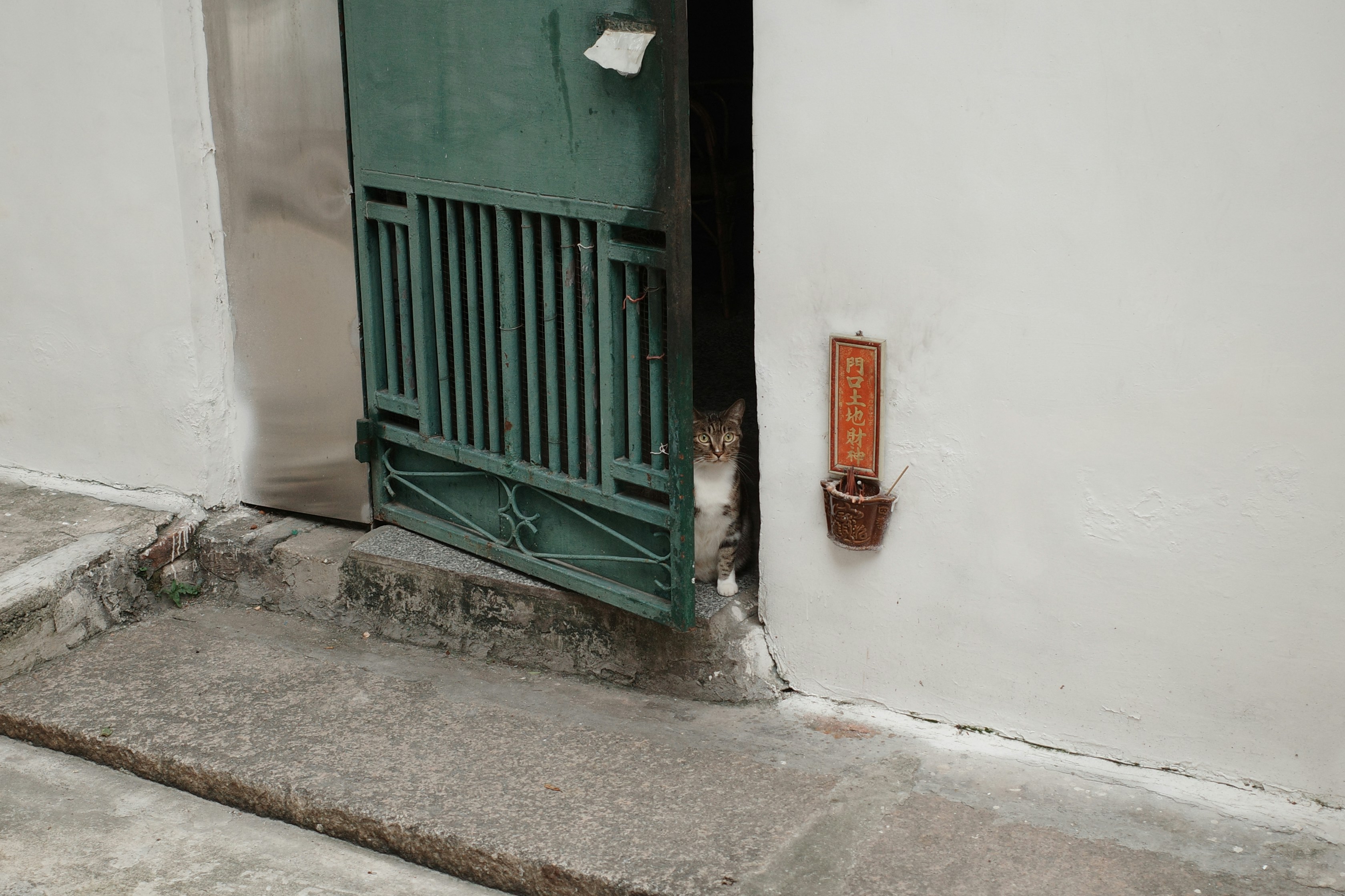 Threshold of Quiet Curiosity: Green Gate Framing a Dim Doorway