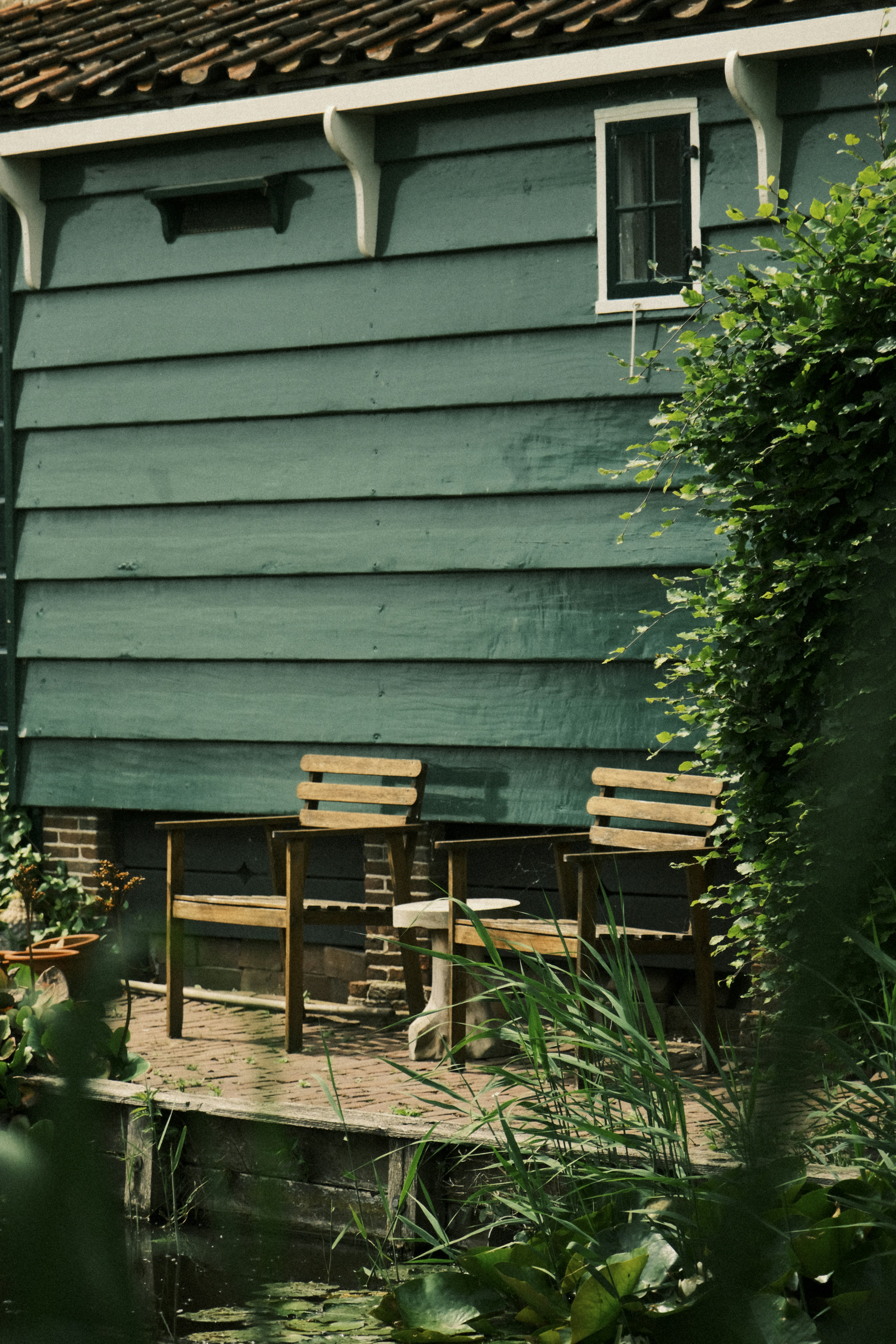Two wooden chairs positioned beside a tranquil pond, framed by lush greenery and a rustic blue wall. 
