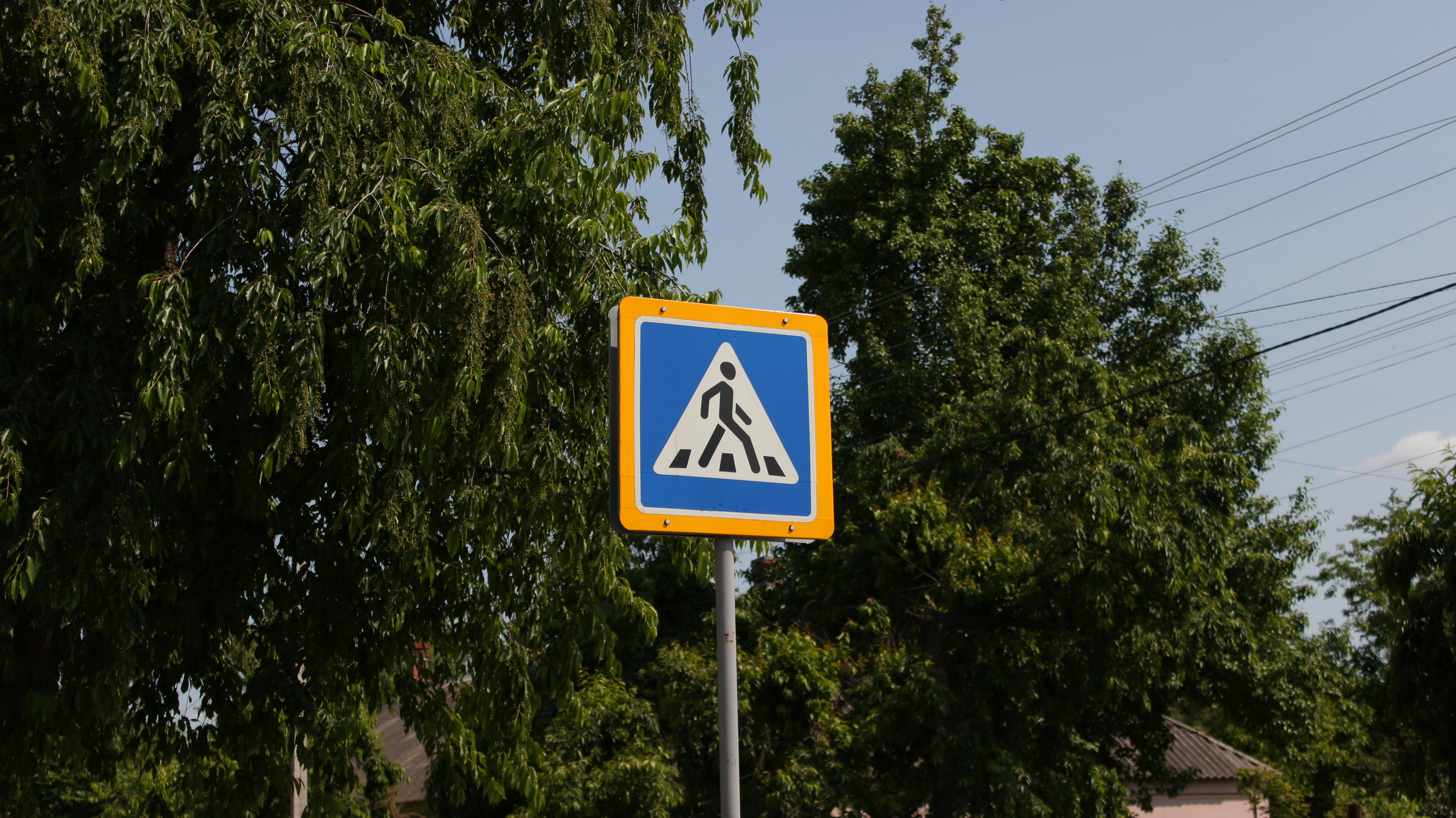 Traffic warning sign indicating a pedestrian crossing amid lush greenery.