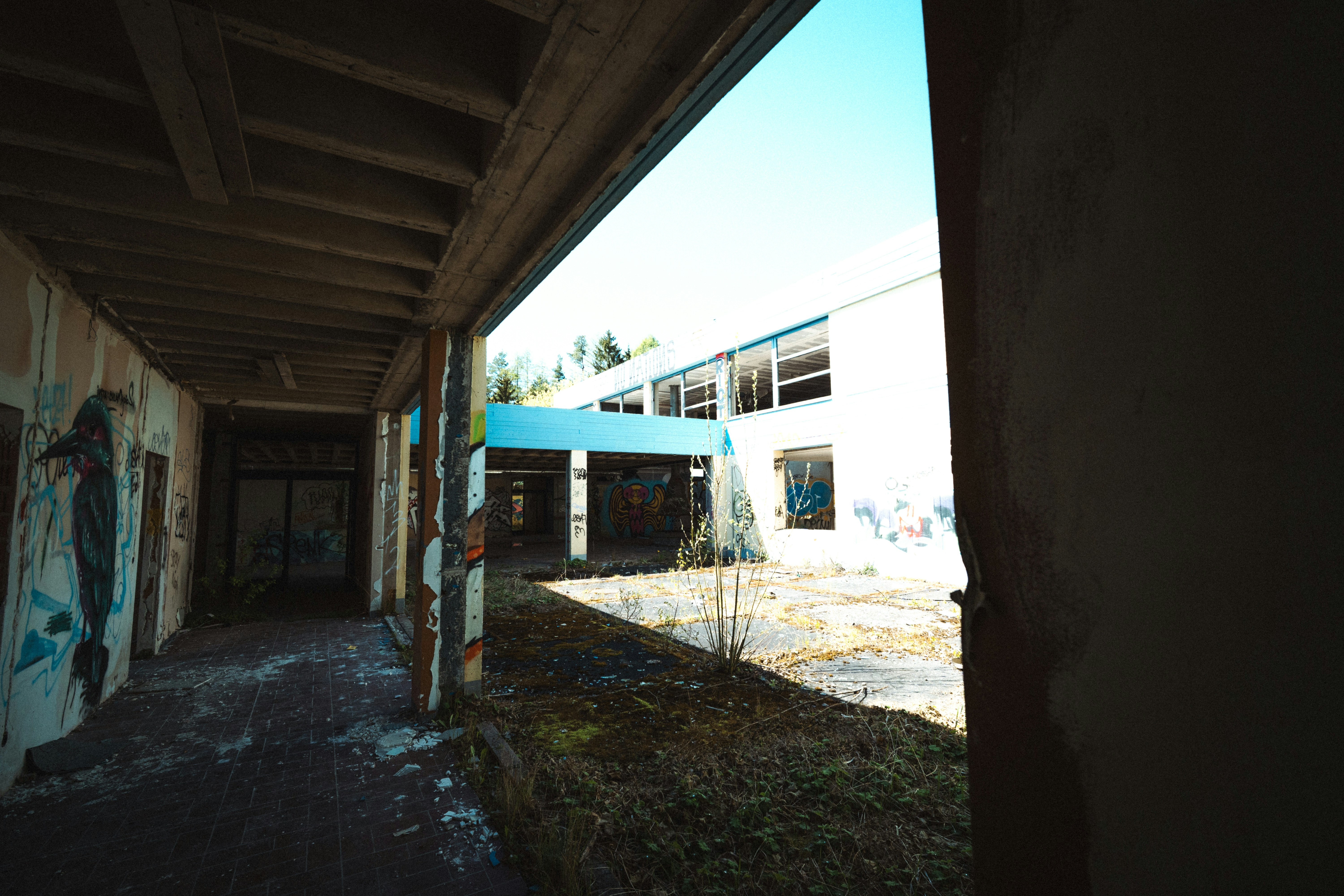Graffiti-covered walls frame a sunlit corridor leading to an overgrown courtyard in an abandoned building. Nature begins to reclaim the space.