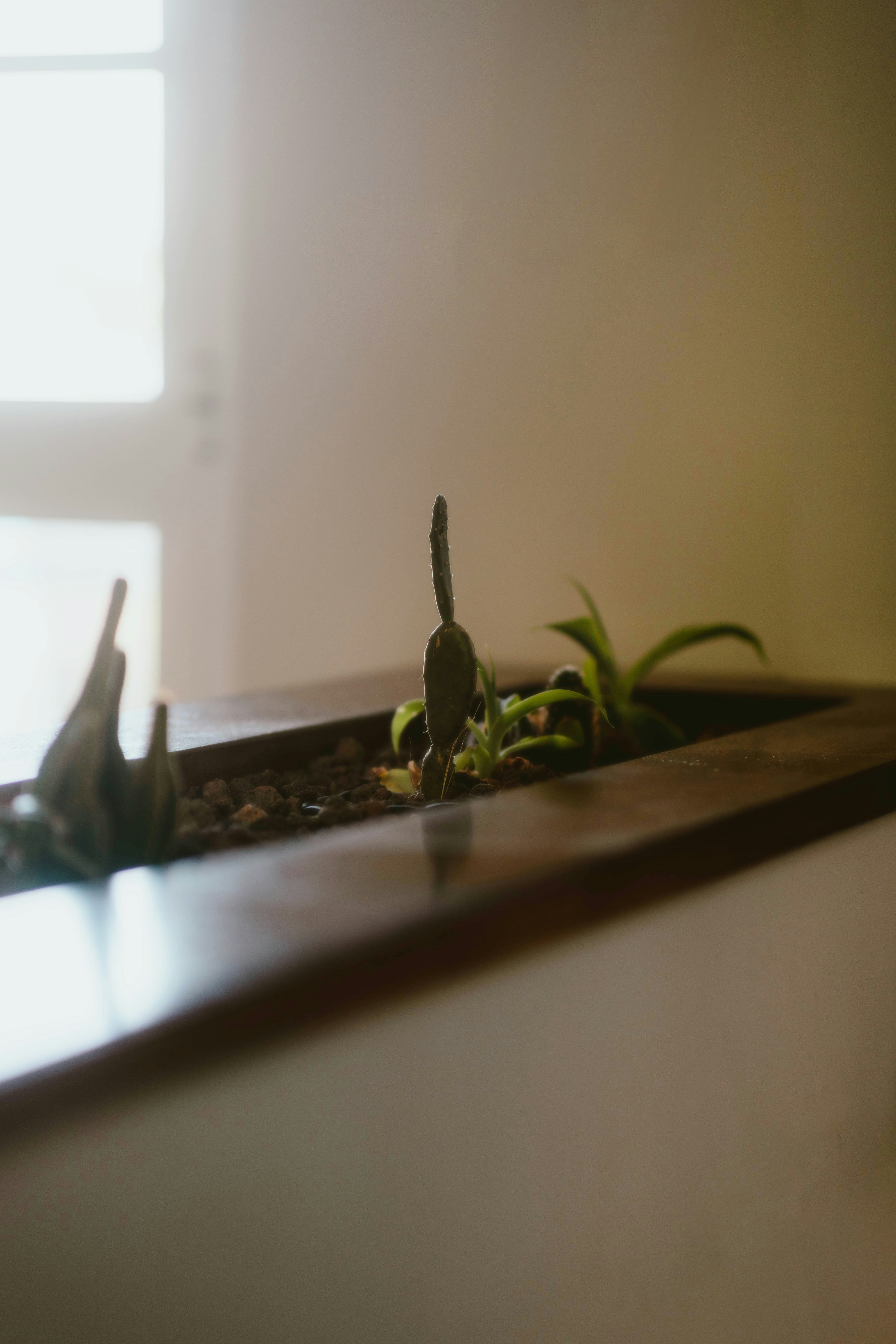 Emerging Life: A Study in Minimalism