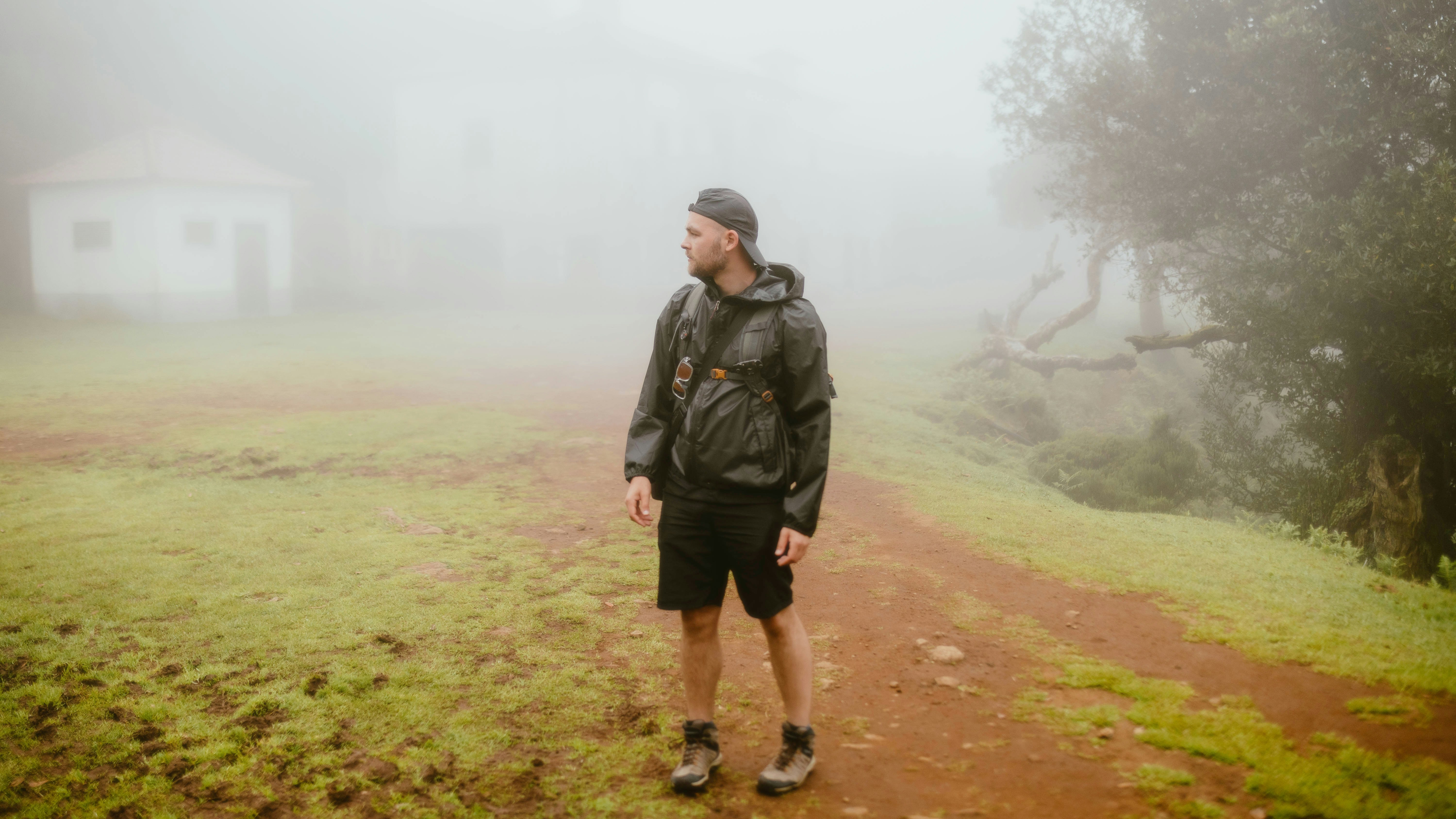 Lost in the Mist: A Journey Through the Unknown