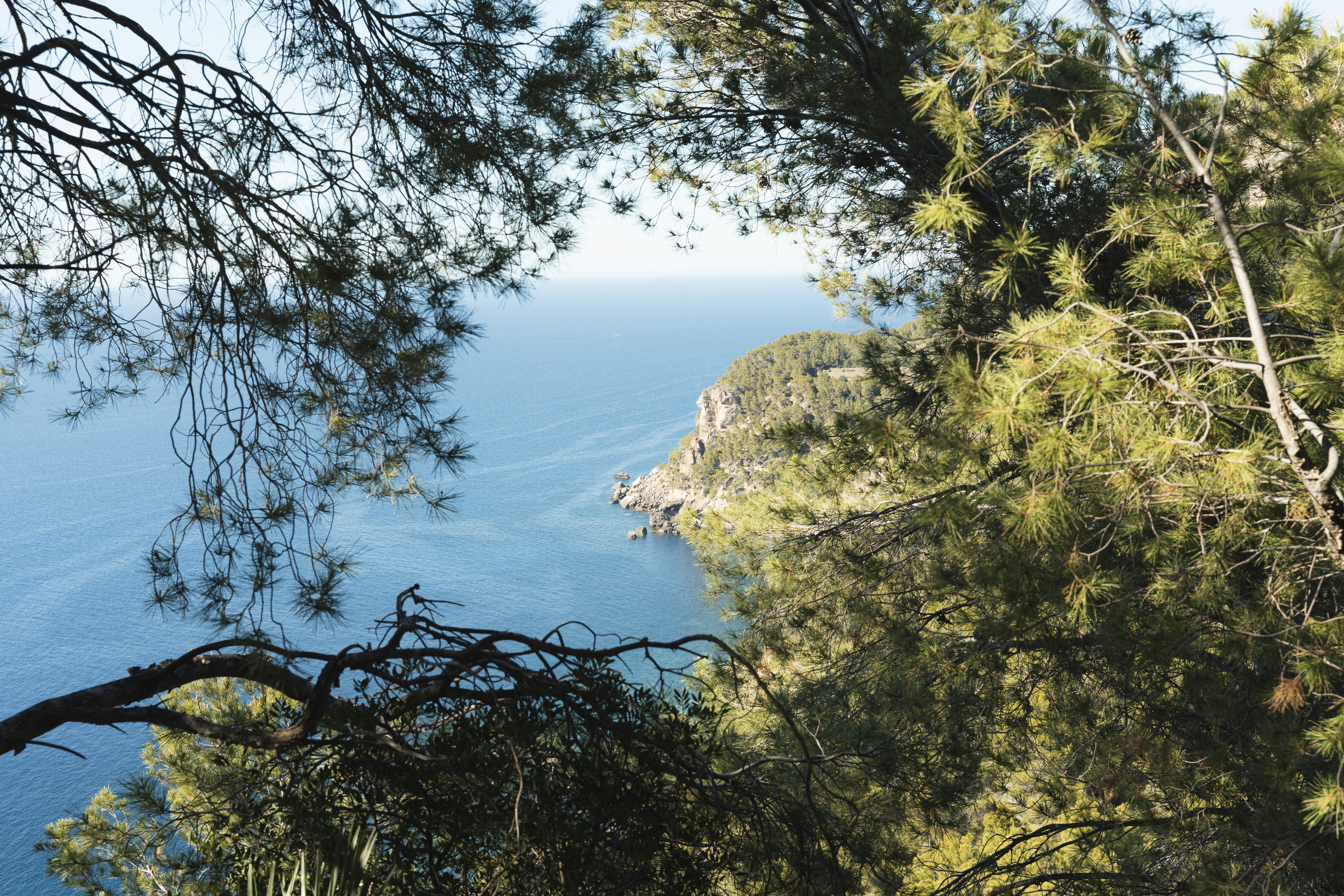 Photo by Nick Andreas with Sony Alpha 7 IV