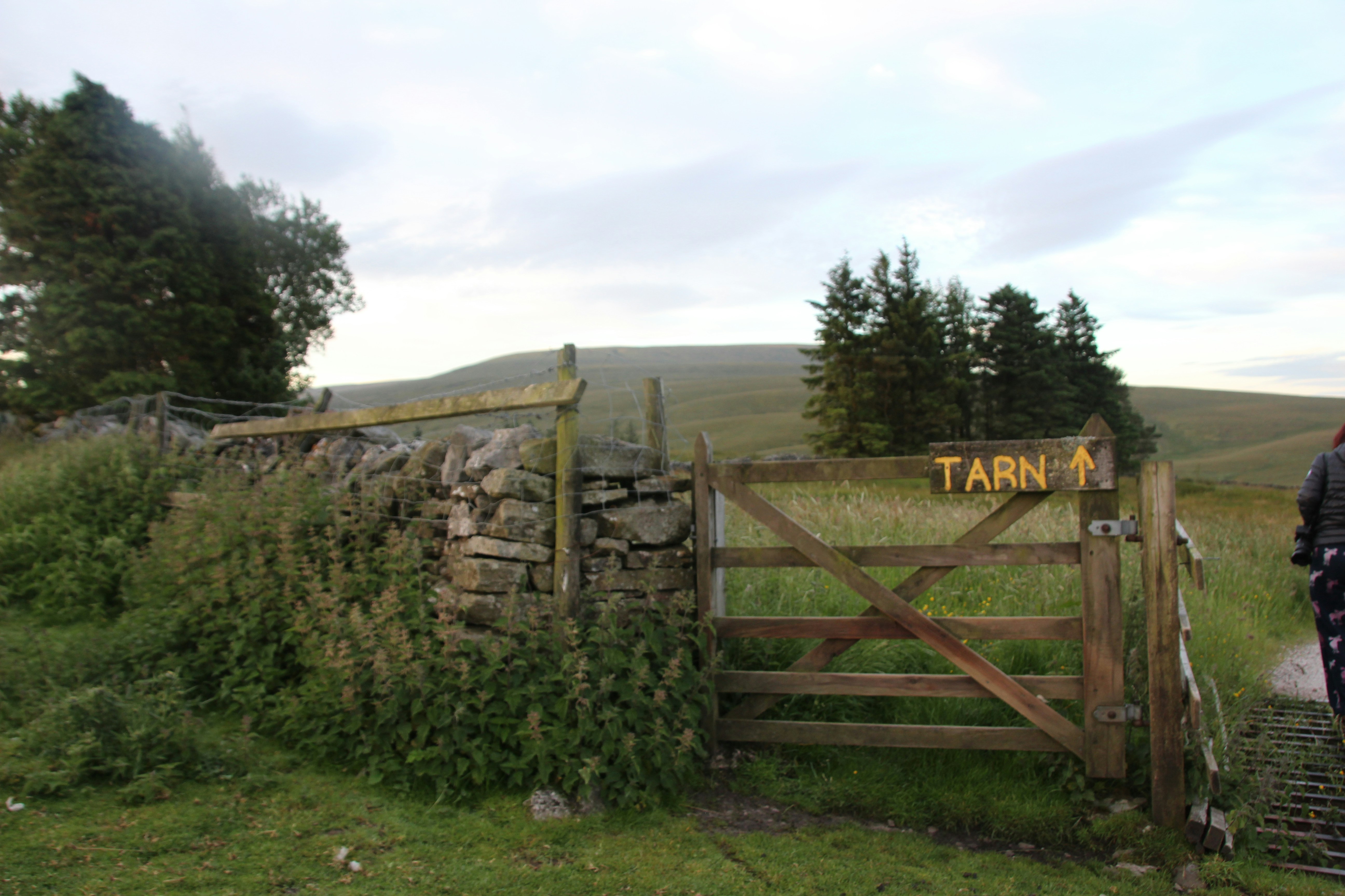 Gate at the Moor: A Quiet Path Through Stone and Gate