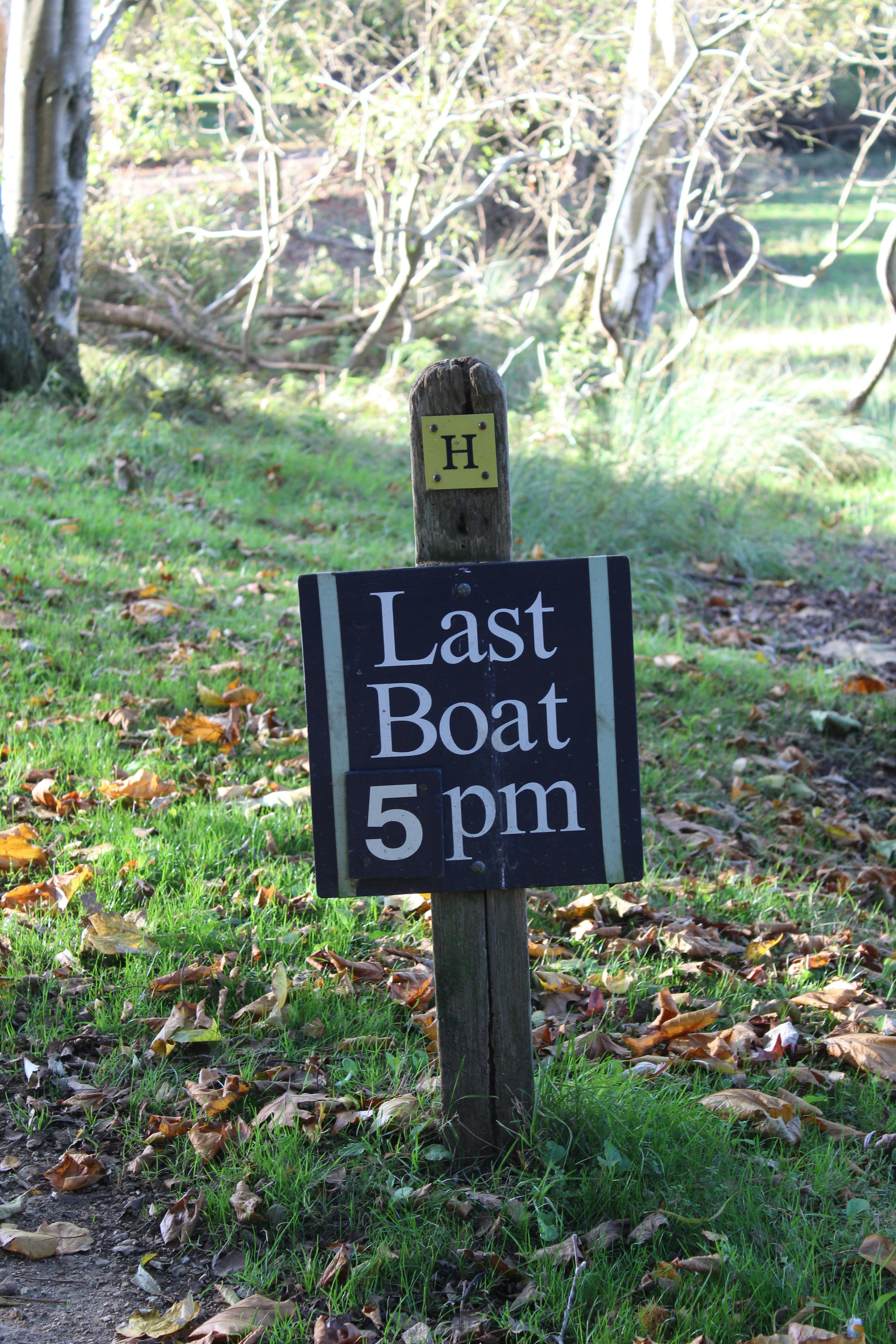 Last Boat Signpost Amid Fallen Leaves in a Sunlit Park