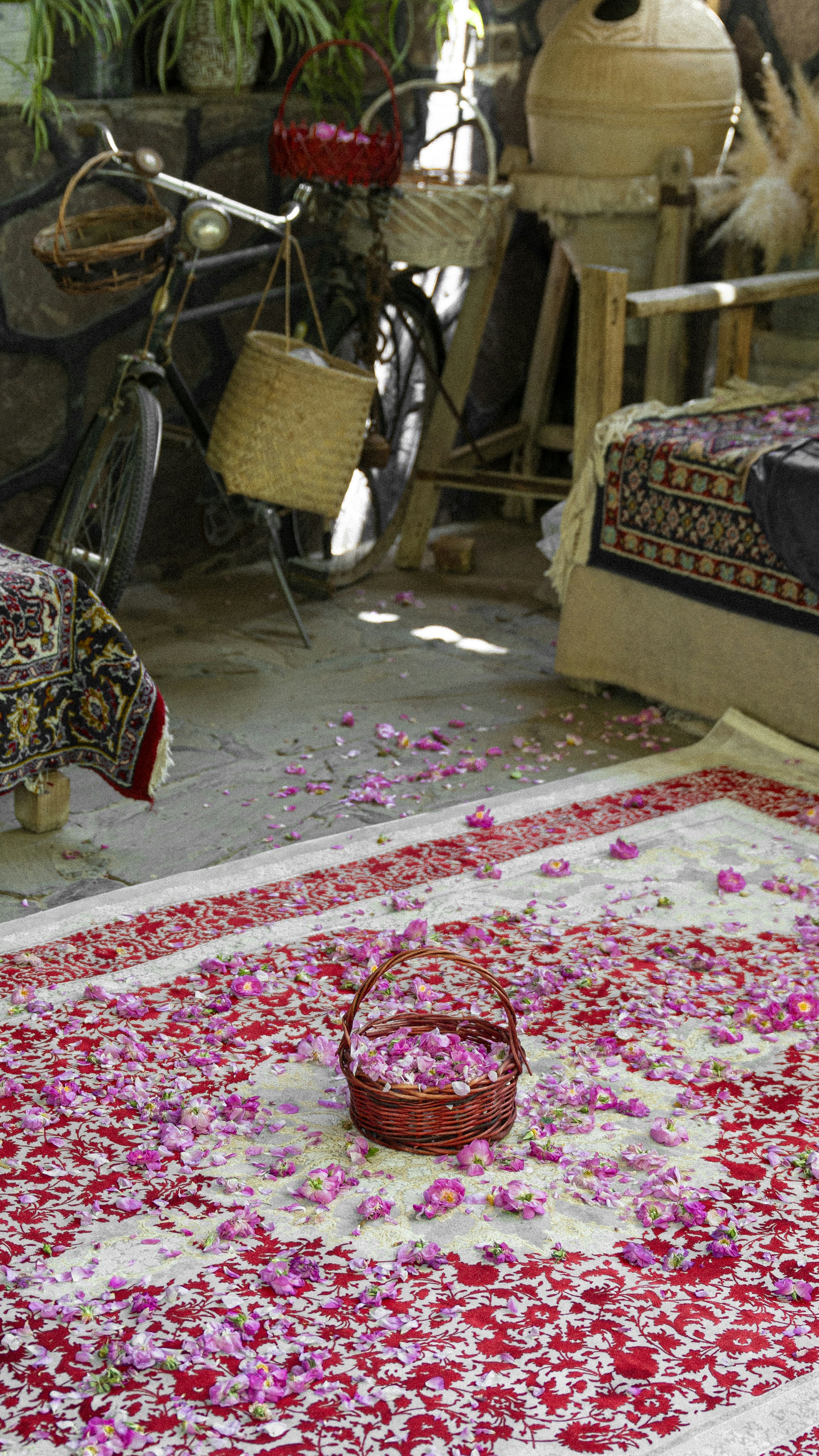 Petal Basket on a Persian-Patterned Rug: a Quiet Indoor Moment