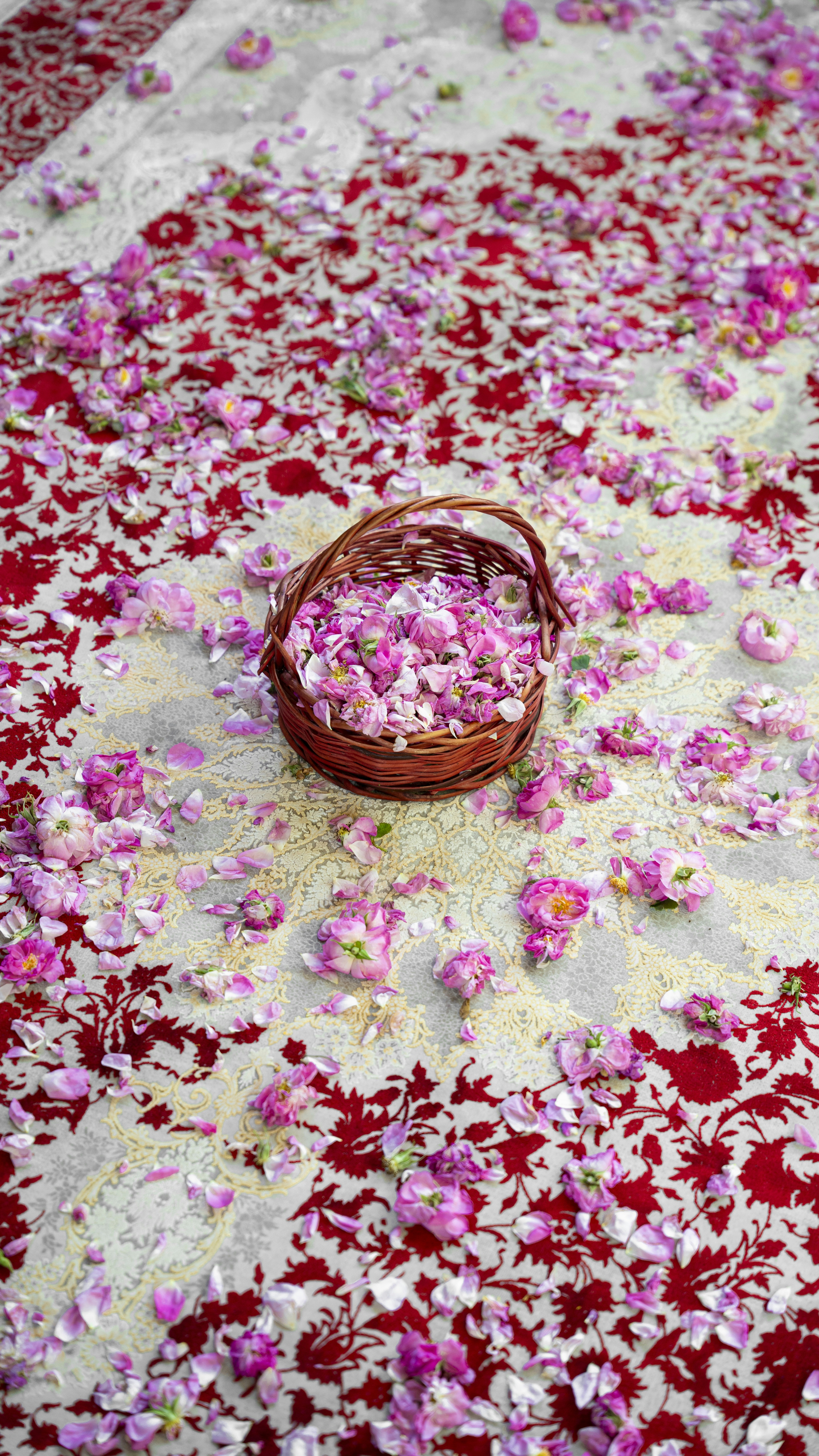 Whispers of Petals: A Floral Reverie