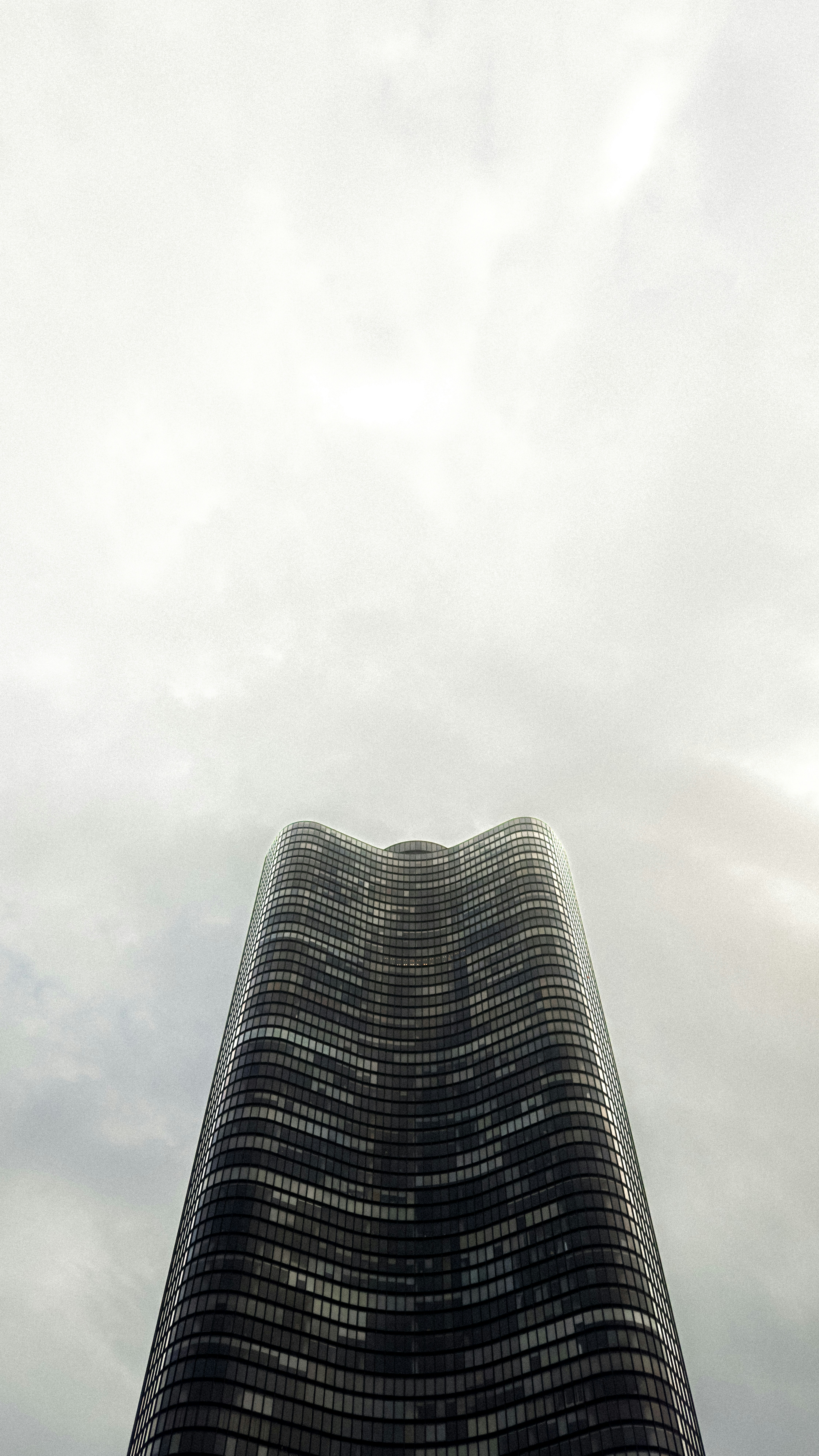Vertical Ambition: A Towering Perspective