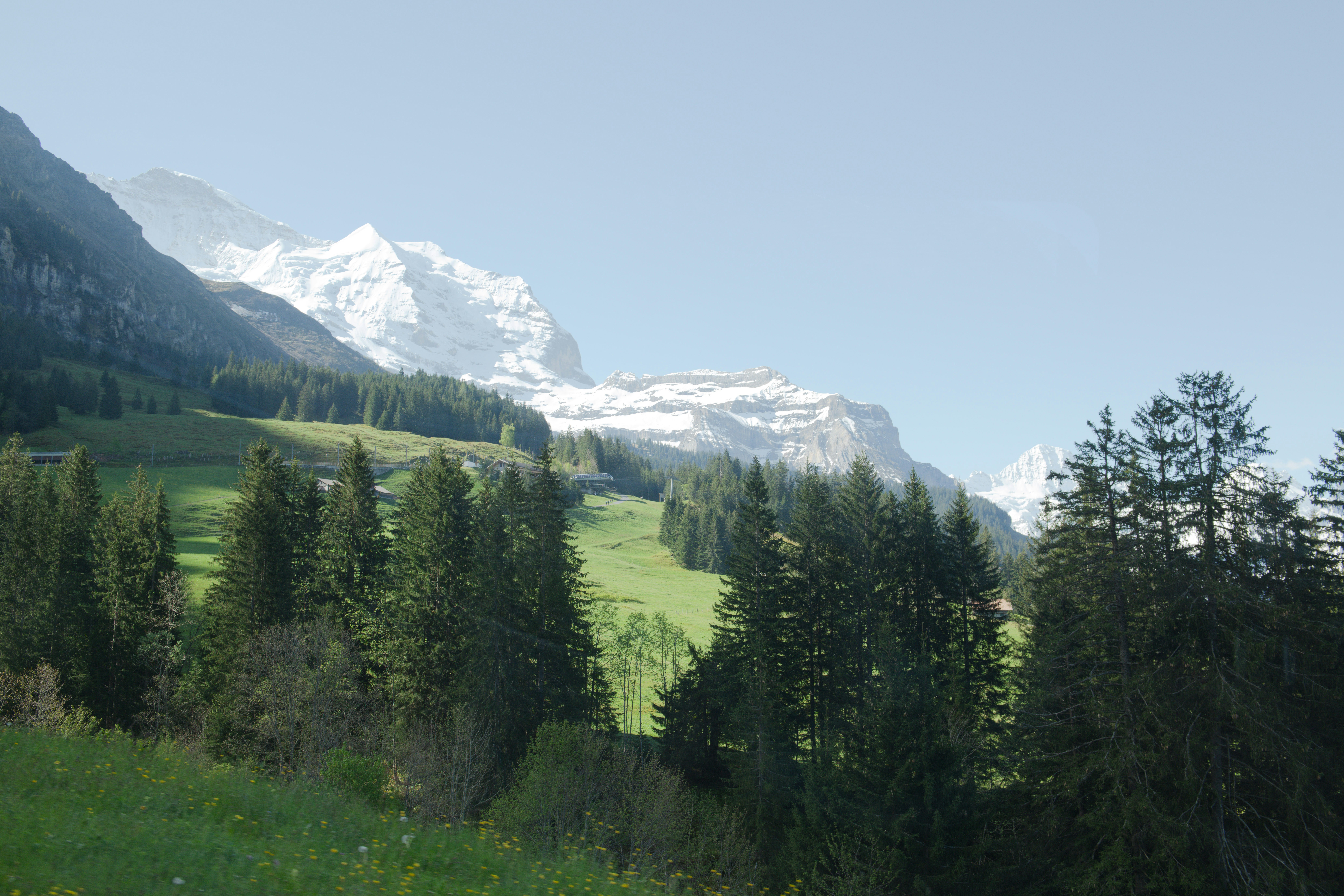Snow-capped peaks rise above lush green meadows, framed by dense coniferous forests under a clear sky.