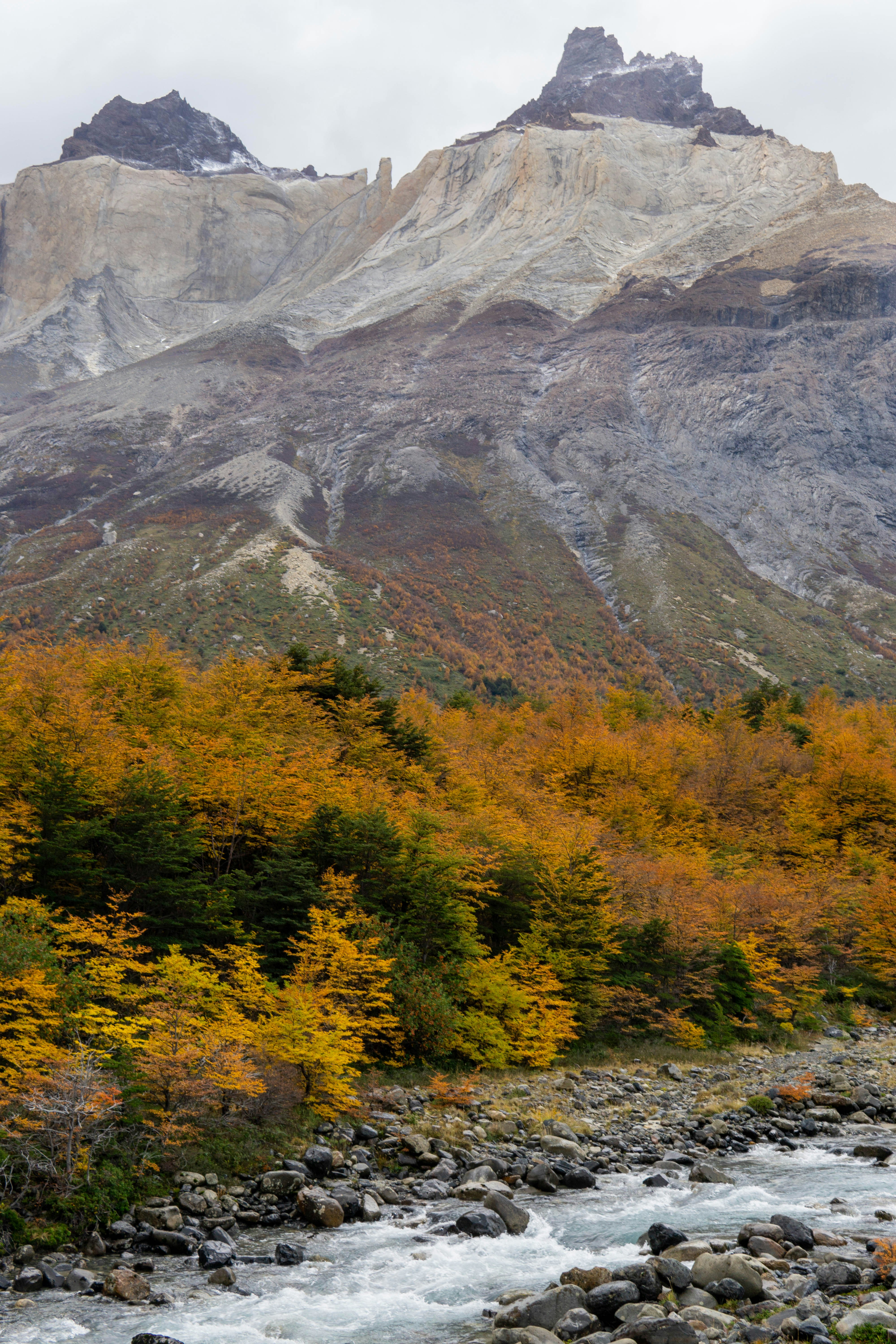 A majestic mountain rising over a river framed by vivid autumn leaves.