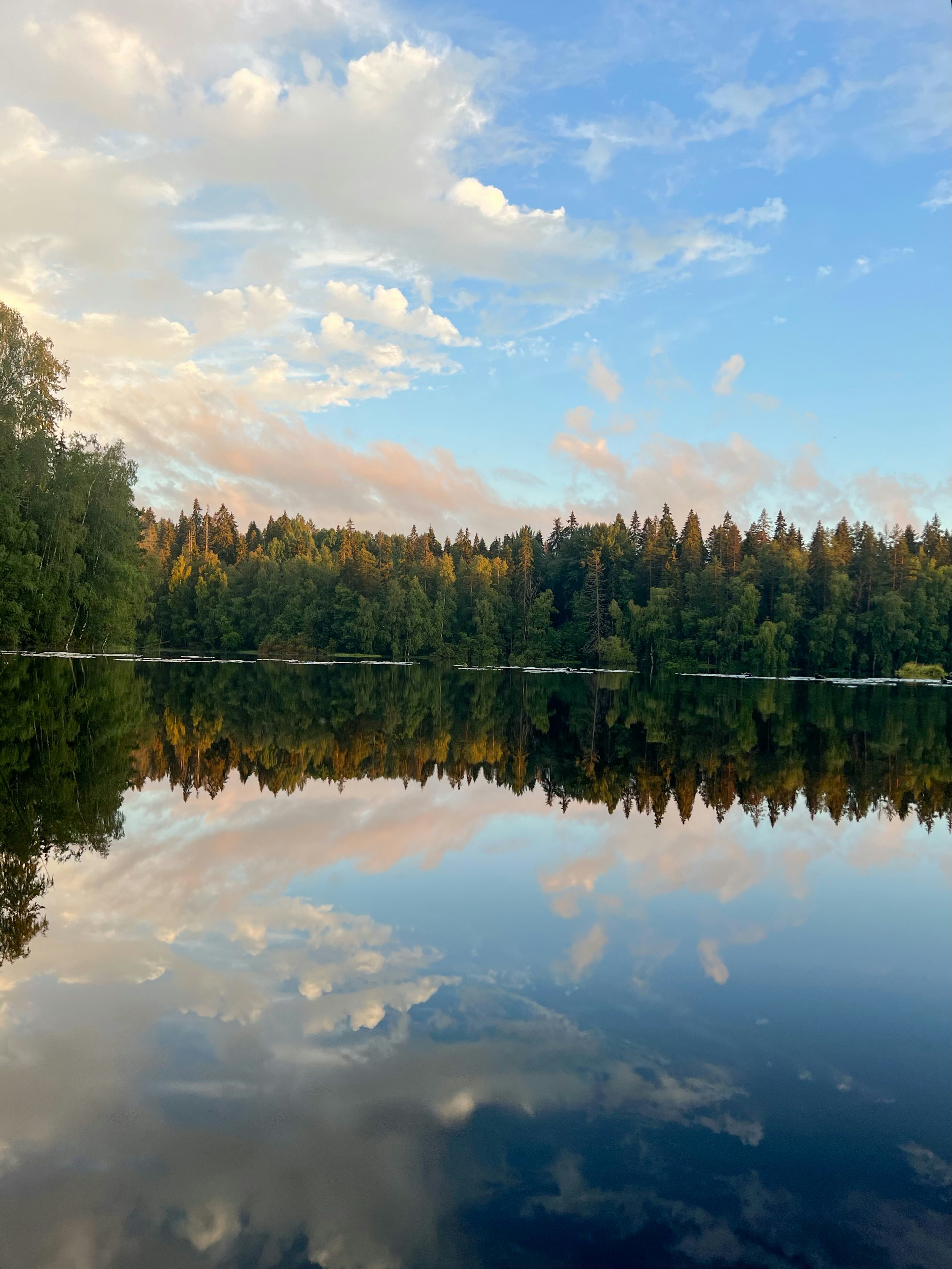 Tranquil lake reflecting a vibrant forest and cloudy sky, creating a harmonious scene of nature's beauty.
