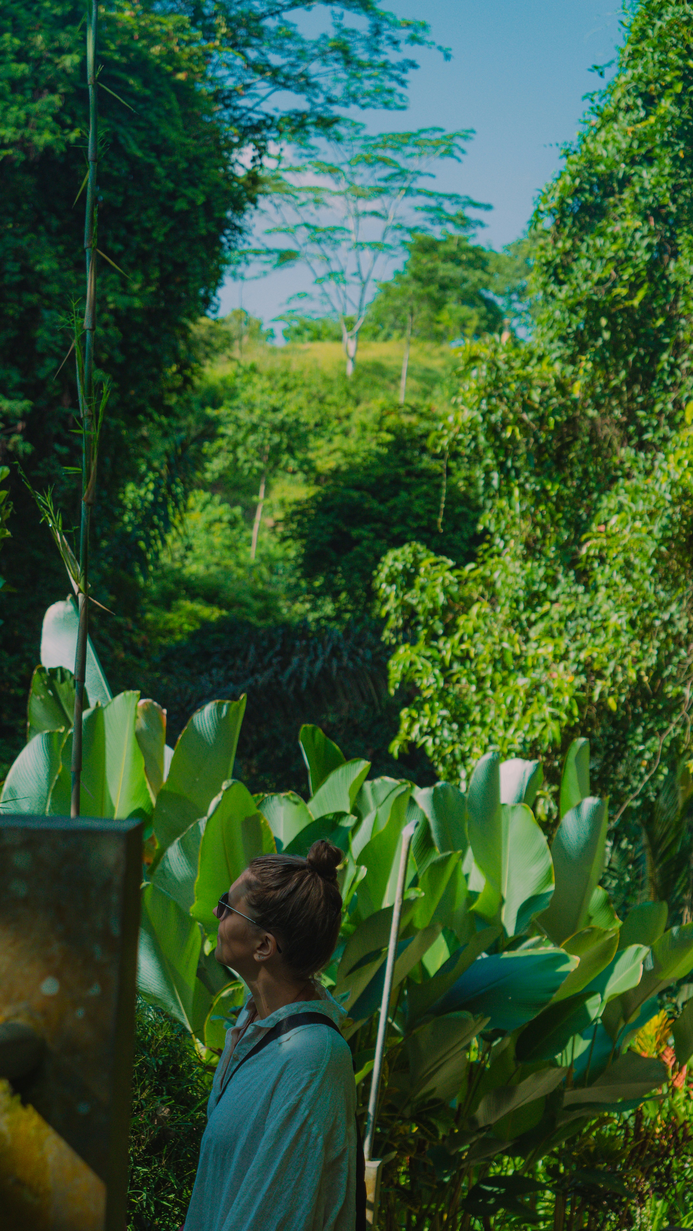 Under a Green Canopy: A Quiet Portrait in a Lush Garden