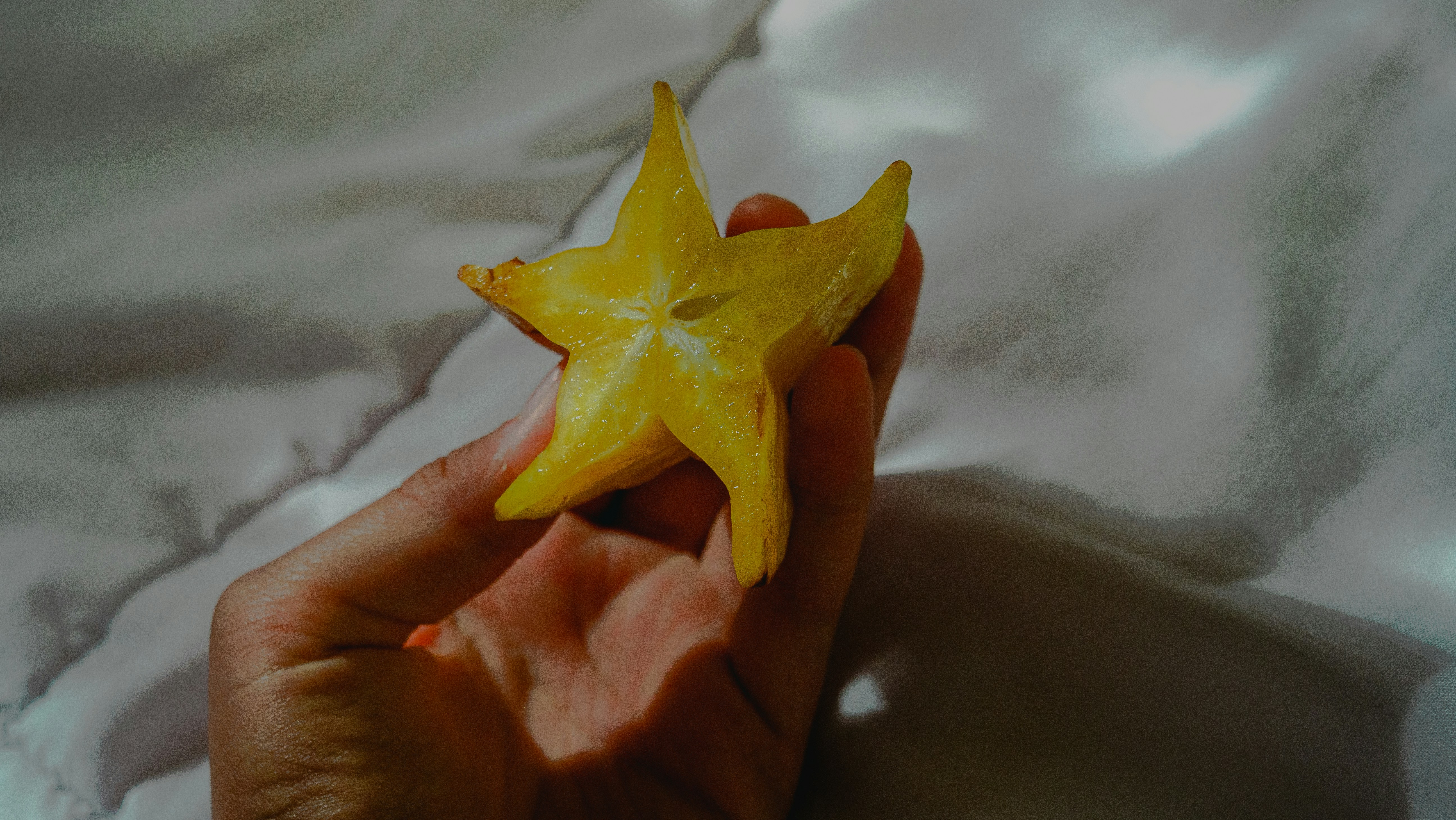Hand-Held Star: A Slice of Citrus Held Against a Soft Satin Backdrop