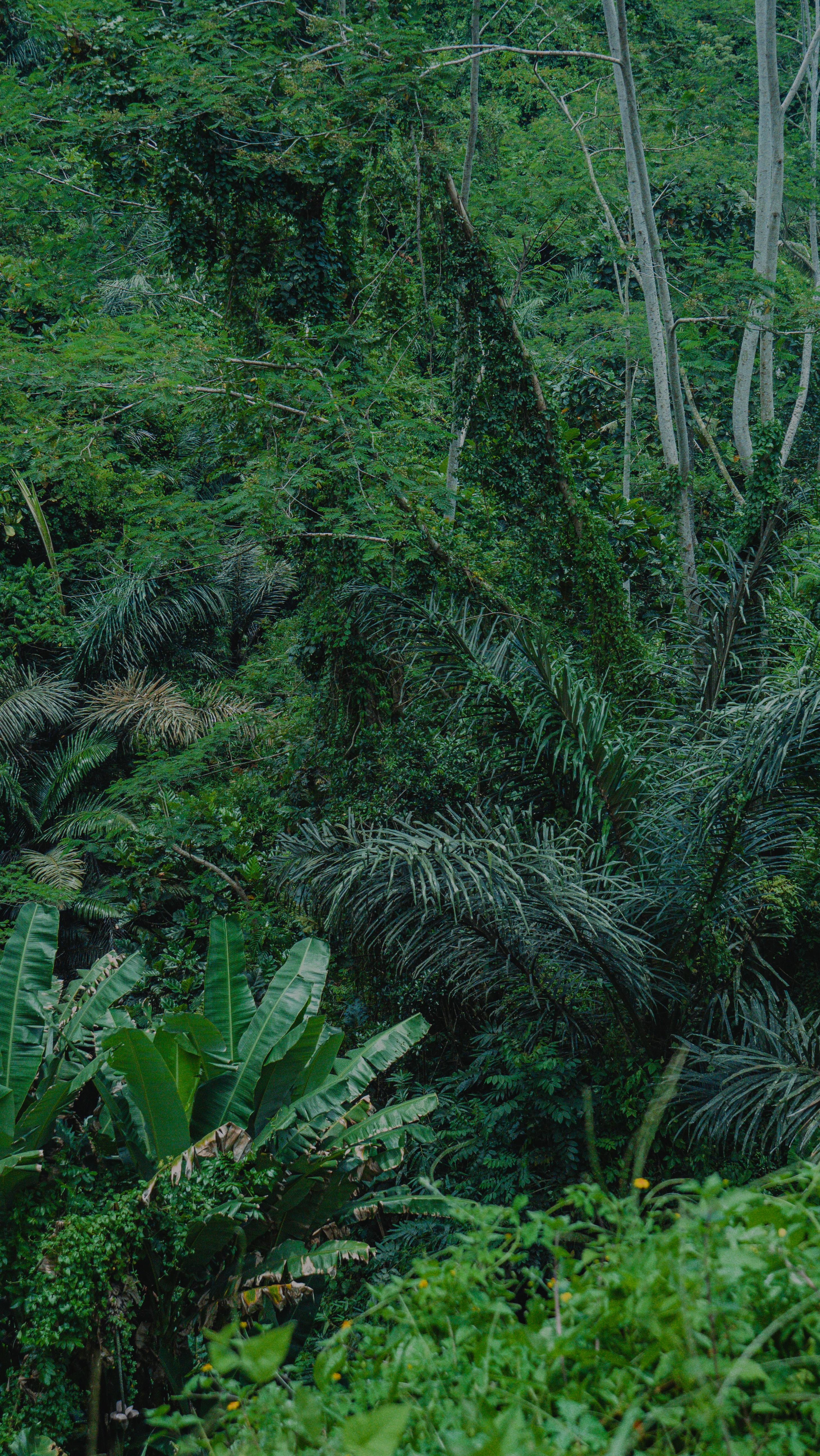 Photo by Hanna Lazar with Panasonic Lumix GH5