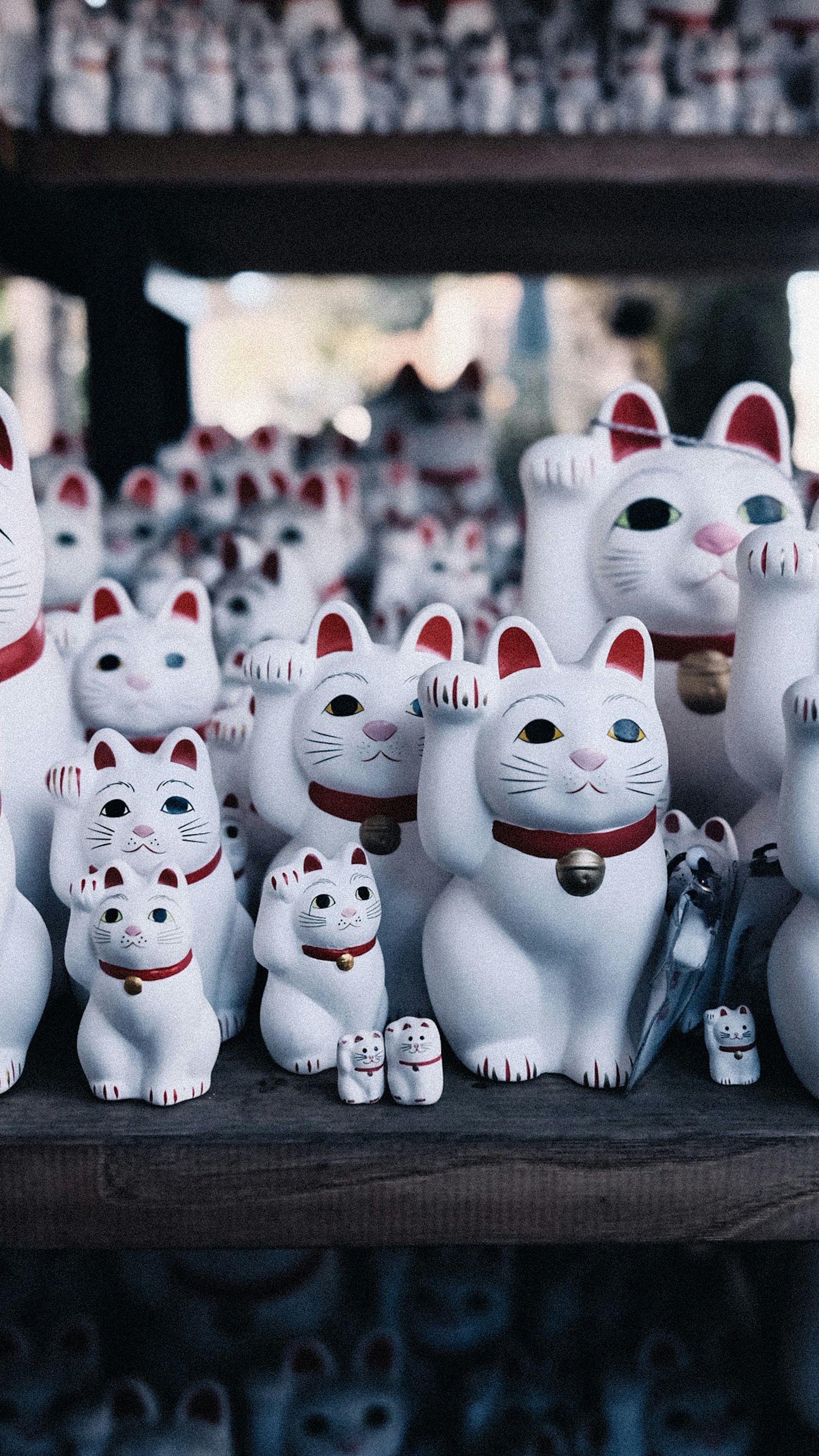 Tokyo Gōtoku-ji temple “cat temple” Maneki-neko figurines