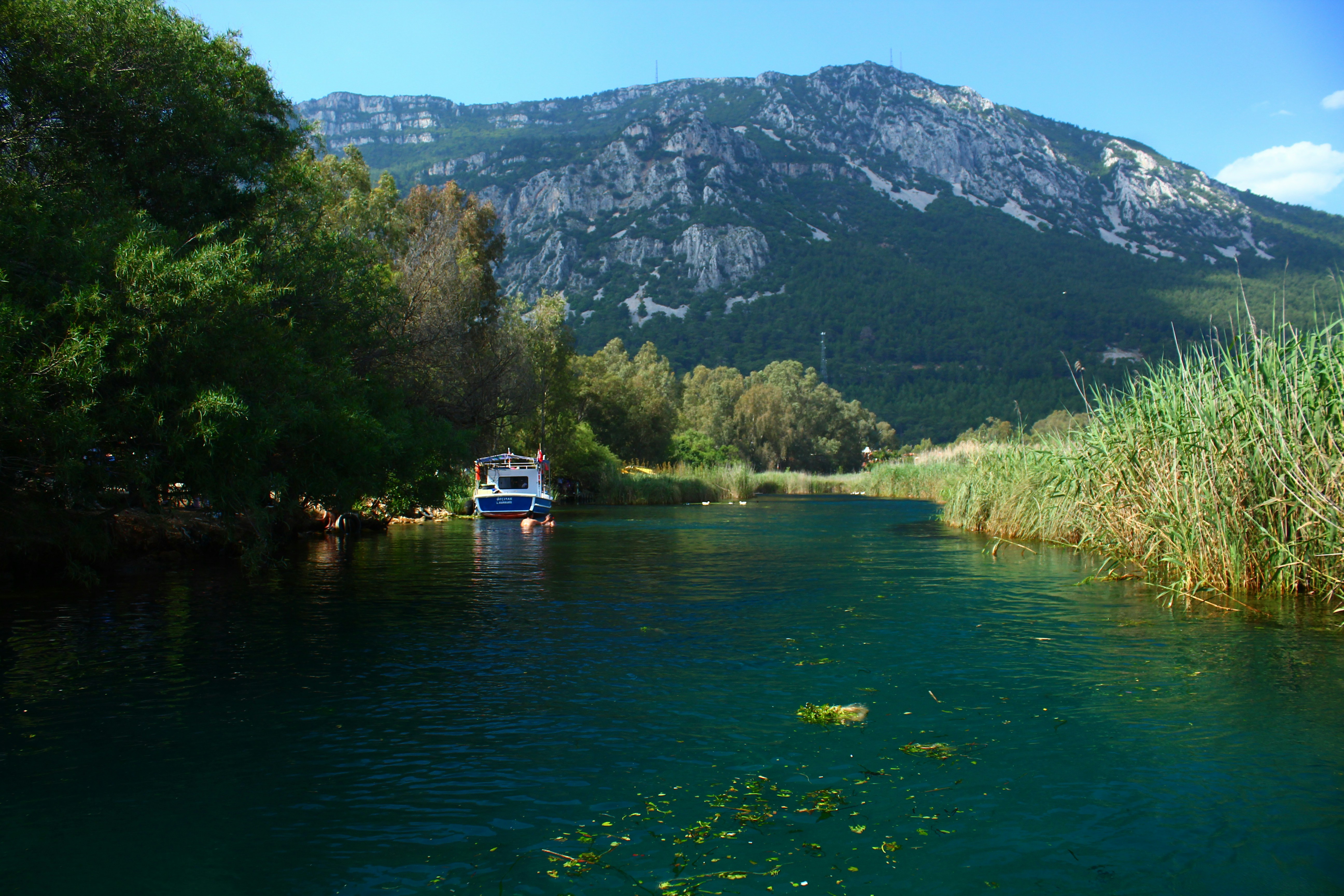 Photo by Seval Torun with Canon EOS 4000D