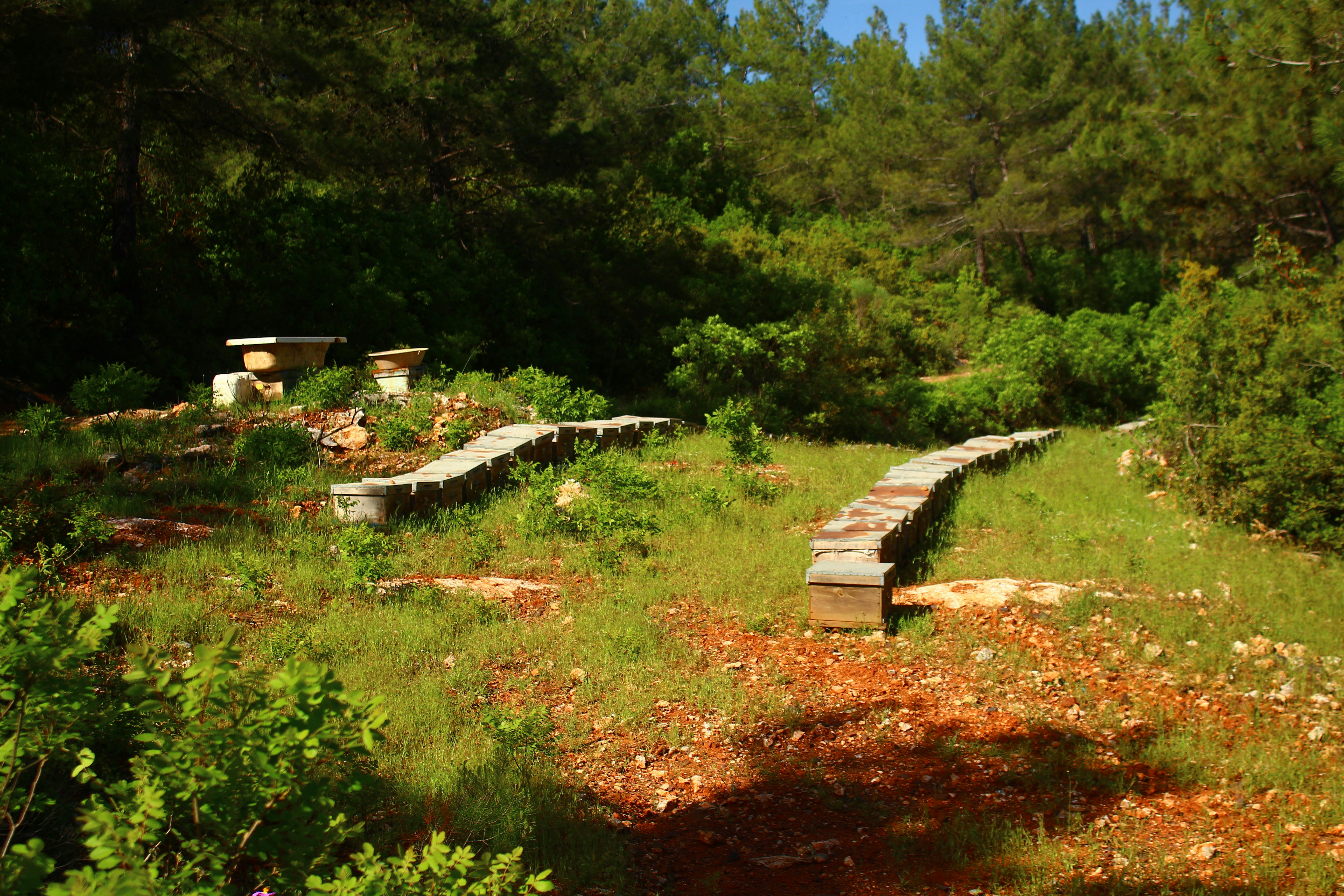 Stone Serpentine Seats Thread Through a Sunlit Meadow
