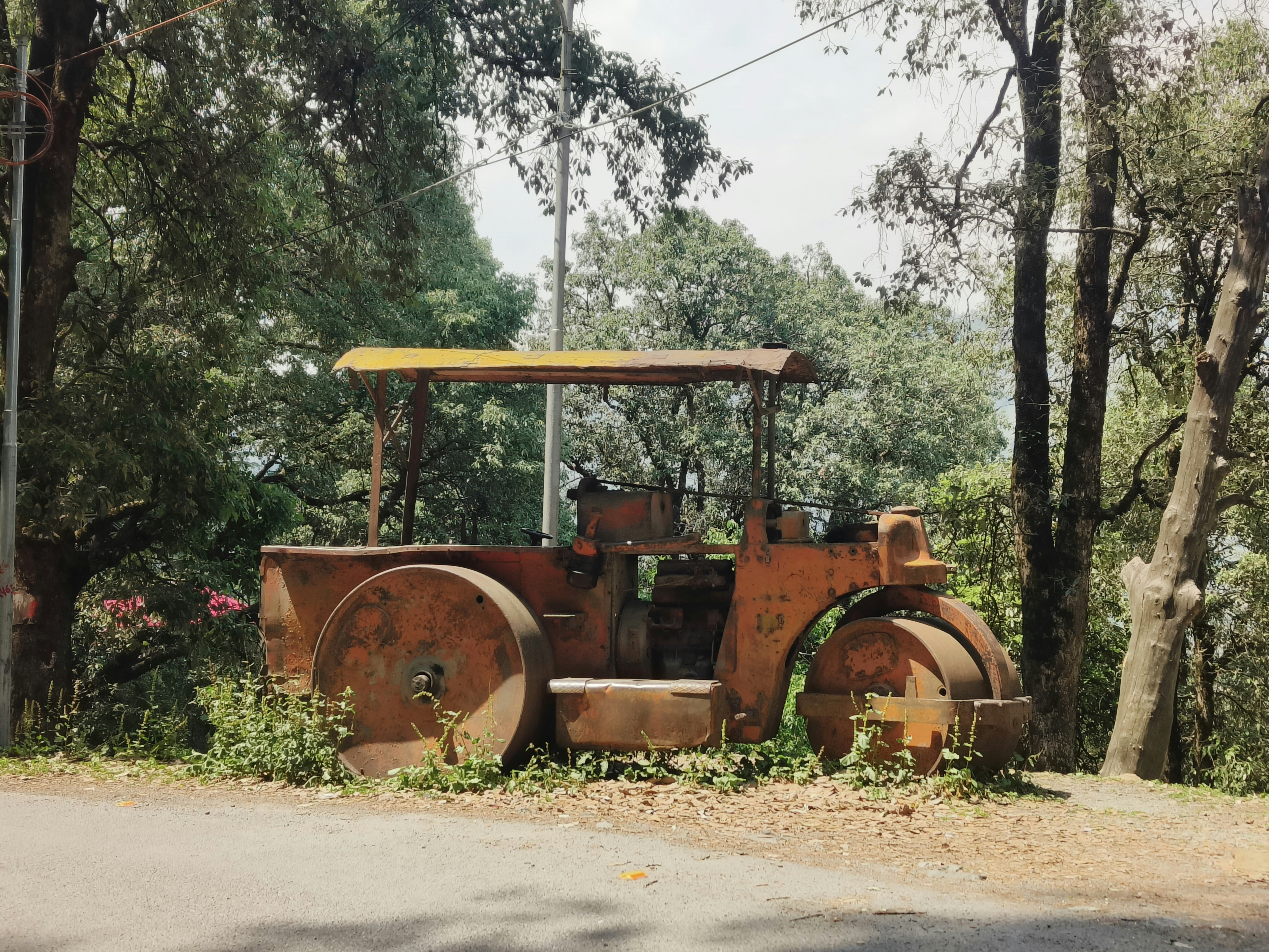 An old, rusty road roller sits amidst nature.