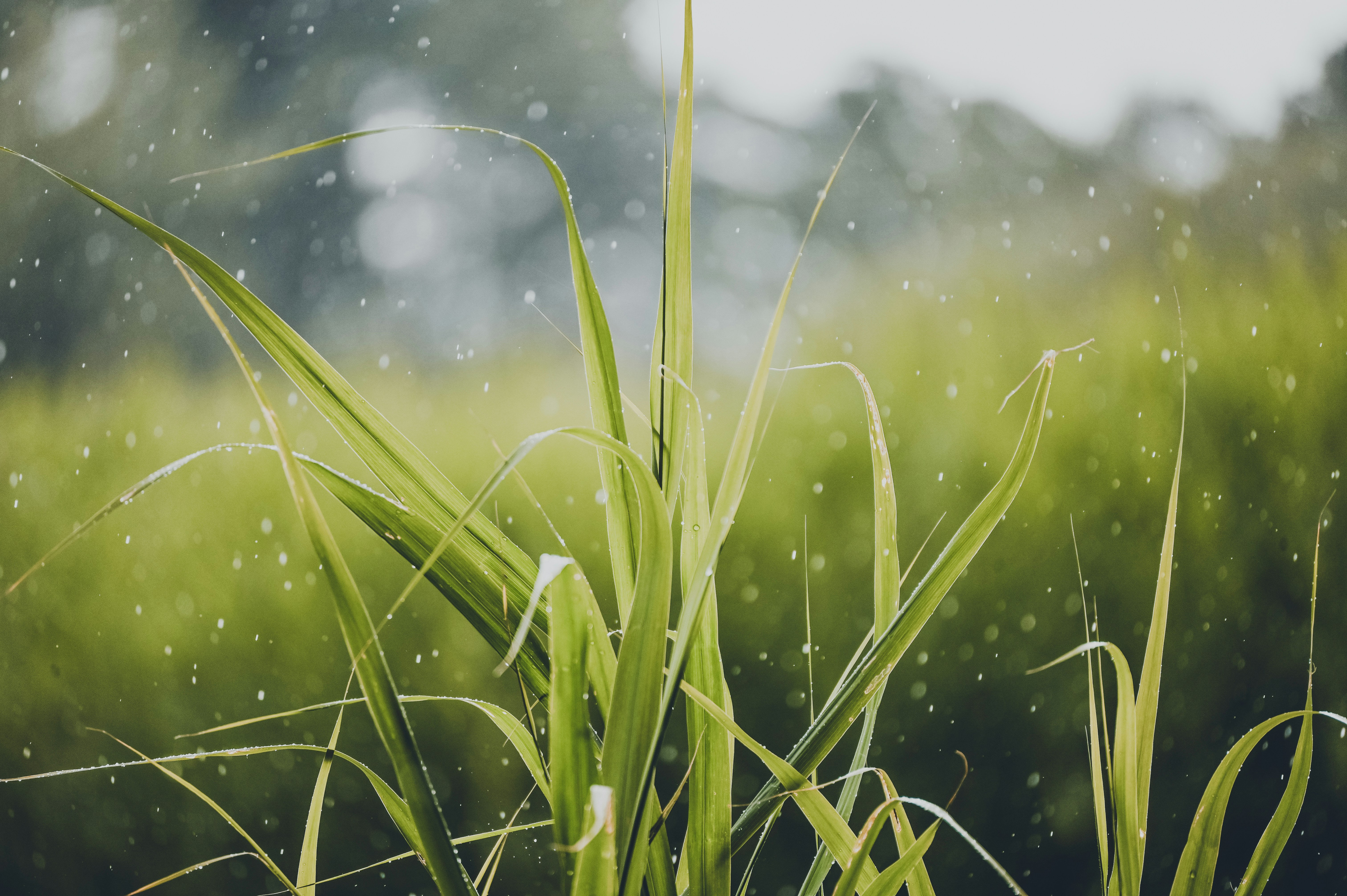 Photo by Nik with Nikon Z6