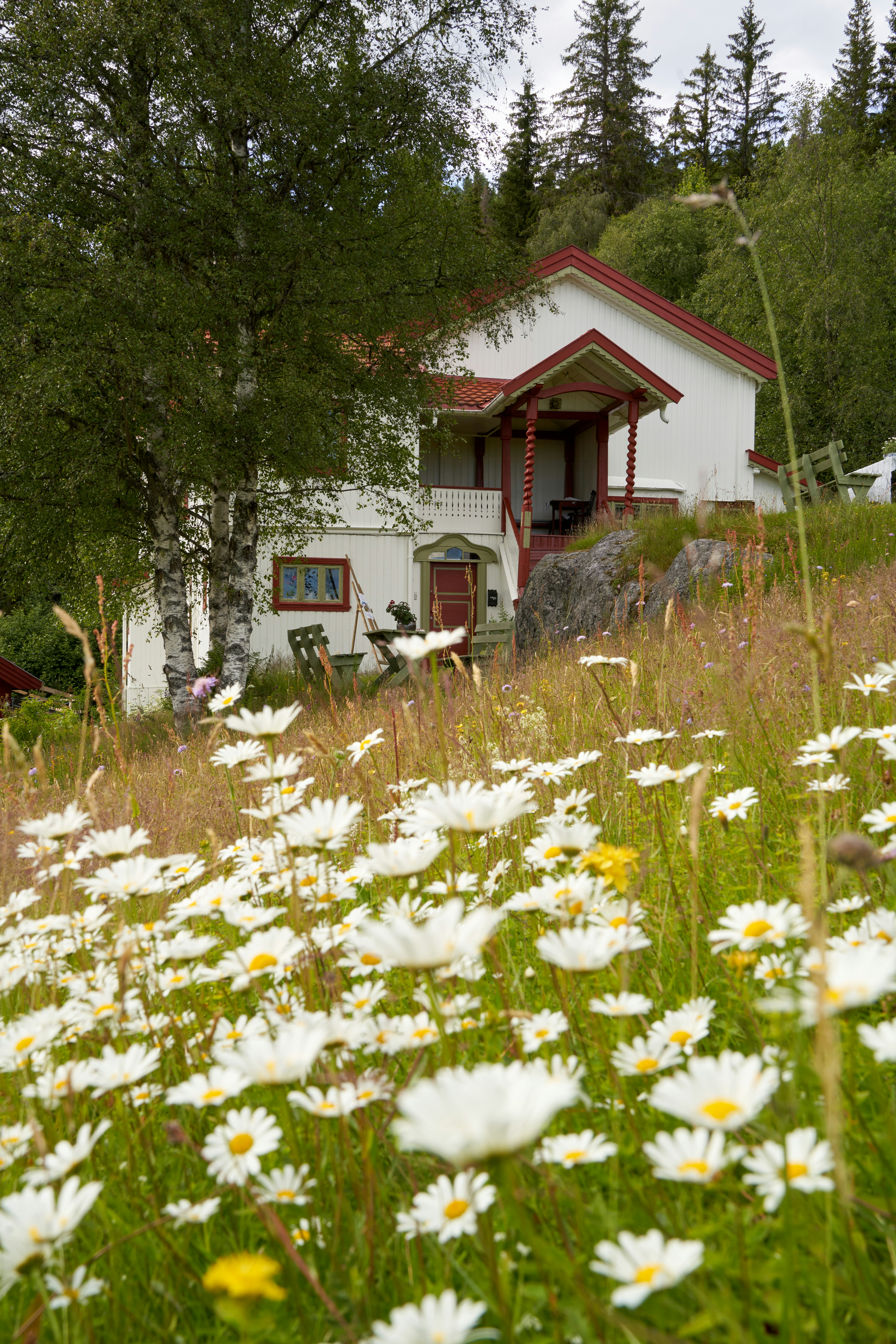 Whispers of Nature: A Charming Retreat
