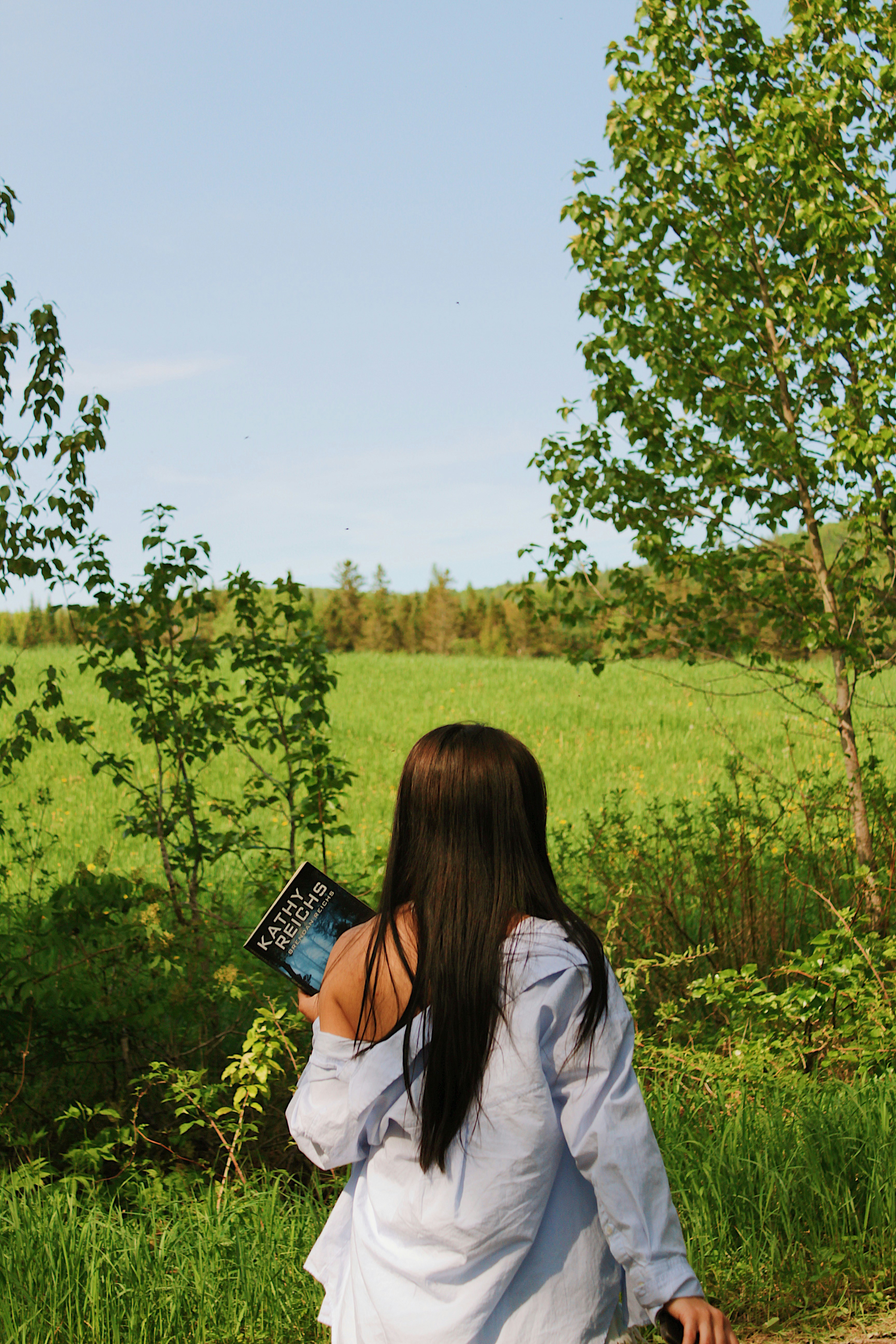 Reader in the Meadow: A Quiet Moment with a Book