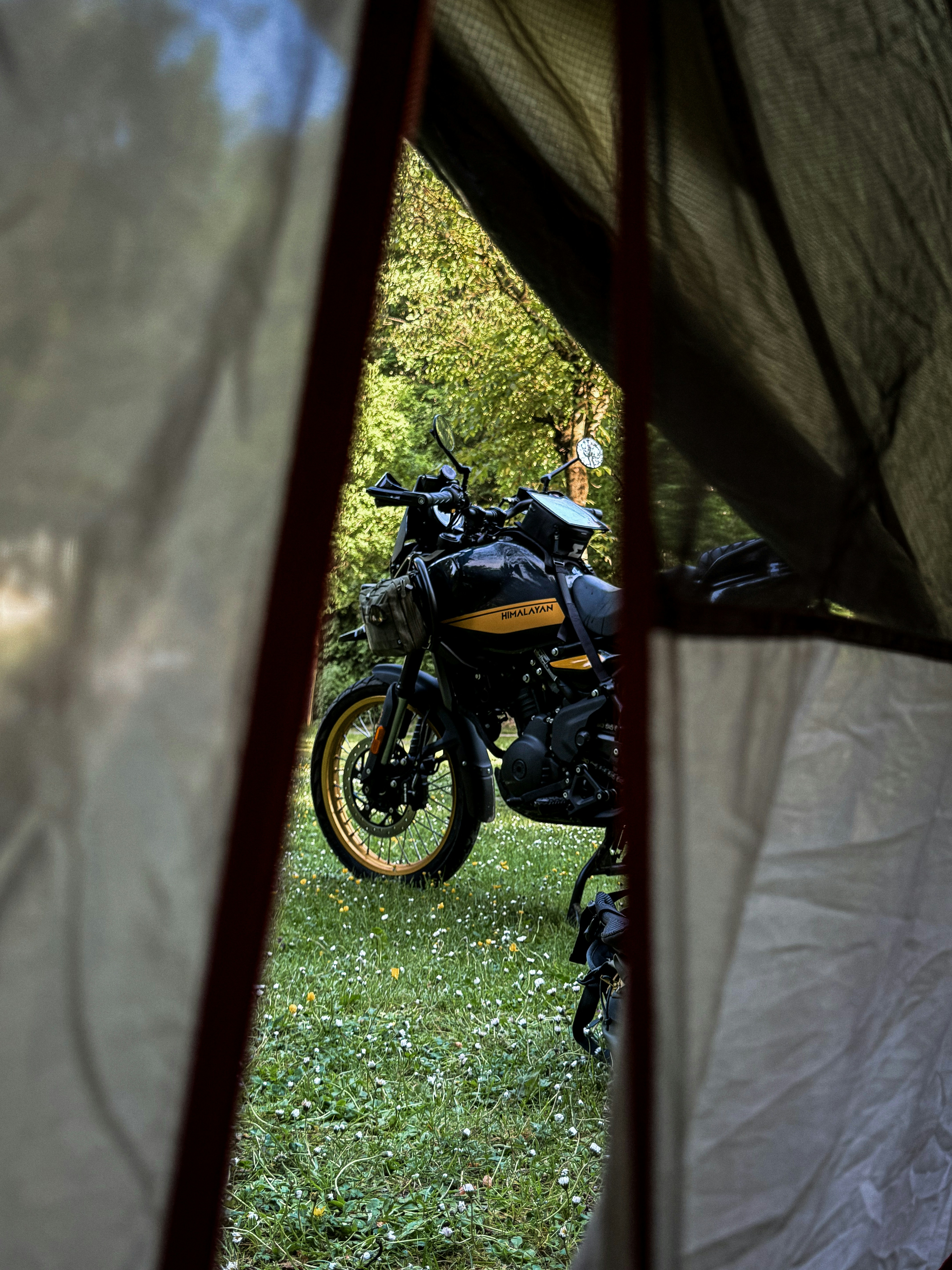 Through the Tent Flap: A Yellow-Black Motorcycle Resting in a Forest Campsite