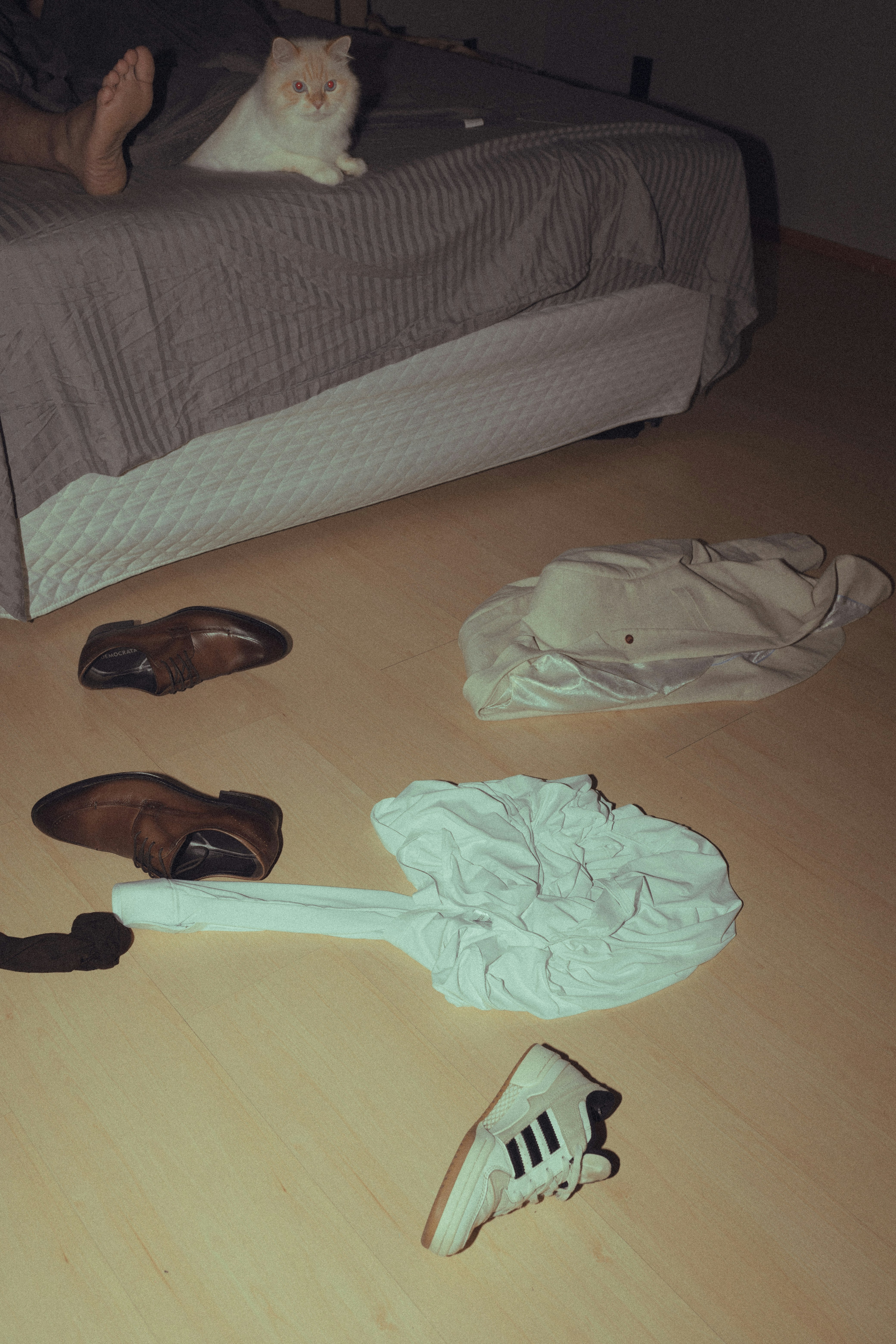 Disheveled clothing scattered across a wooden floor, with a curious cat perched on the bed, capturing a moment of casual domestic life.